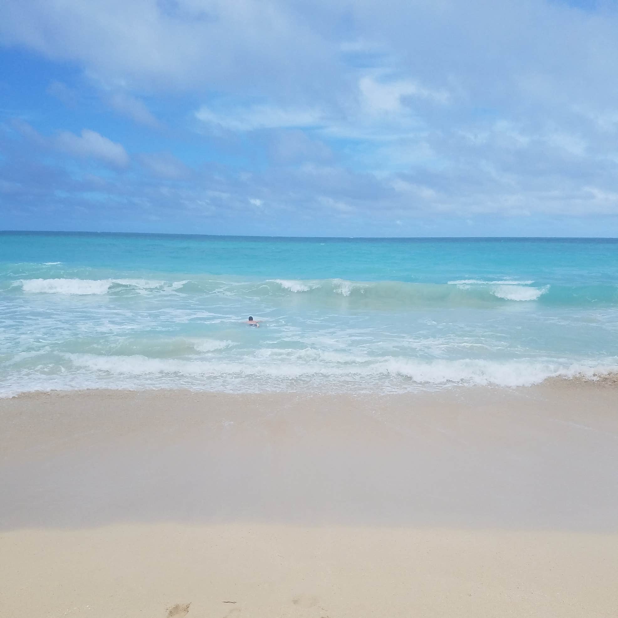 Bellows Field Beach Park Camping | The Dyrt