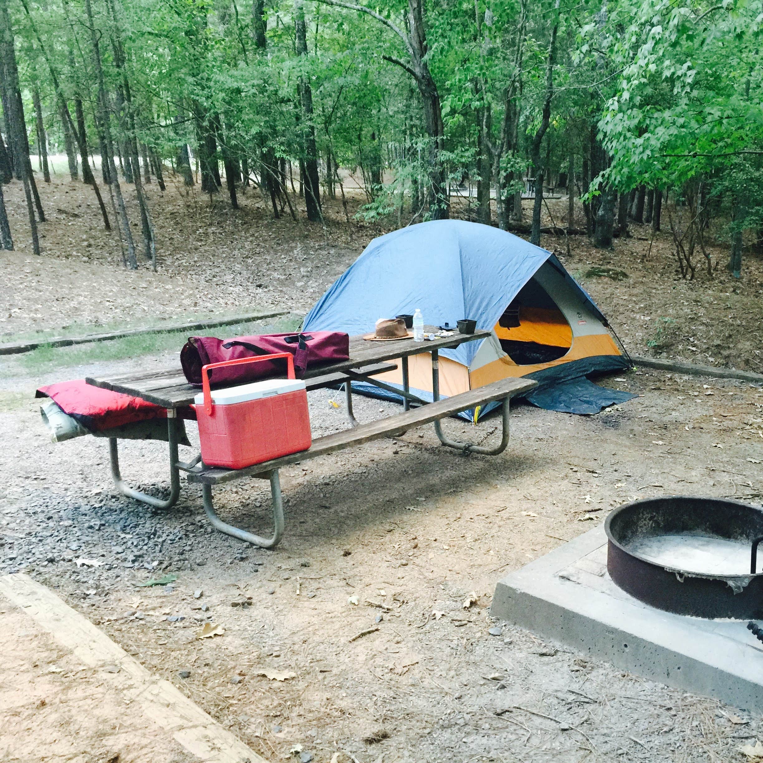 Rolling View - Falls Lake State Recreation Area Camping | The Dyrt