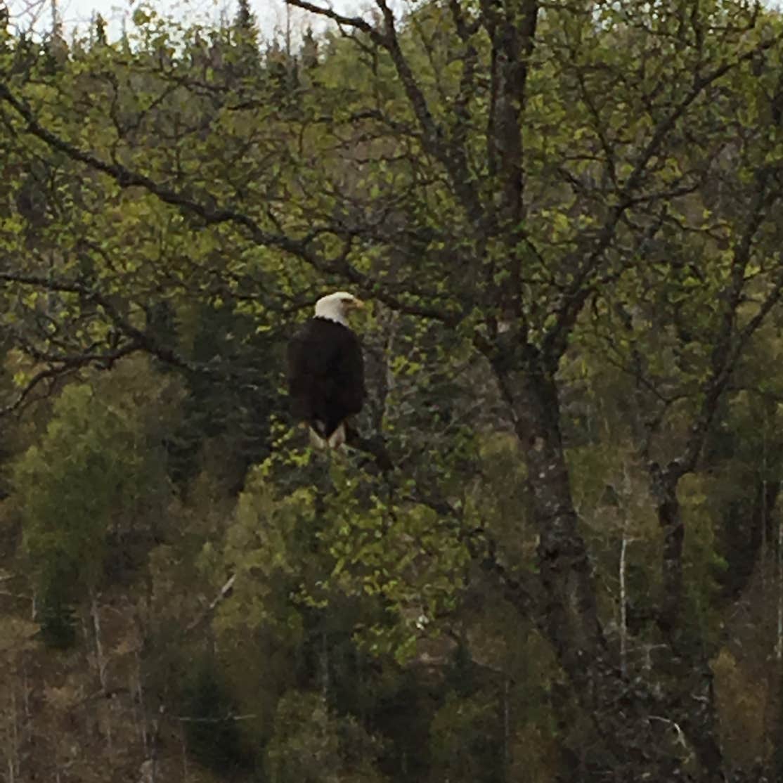 Ninilchik River Campground | Ninilchik, Alaska
