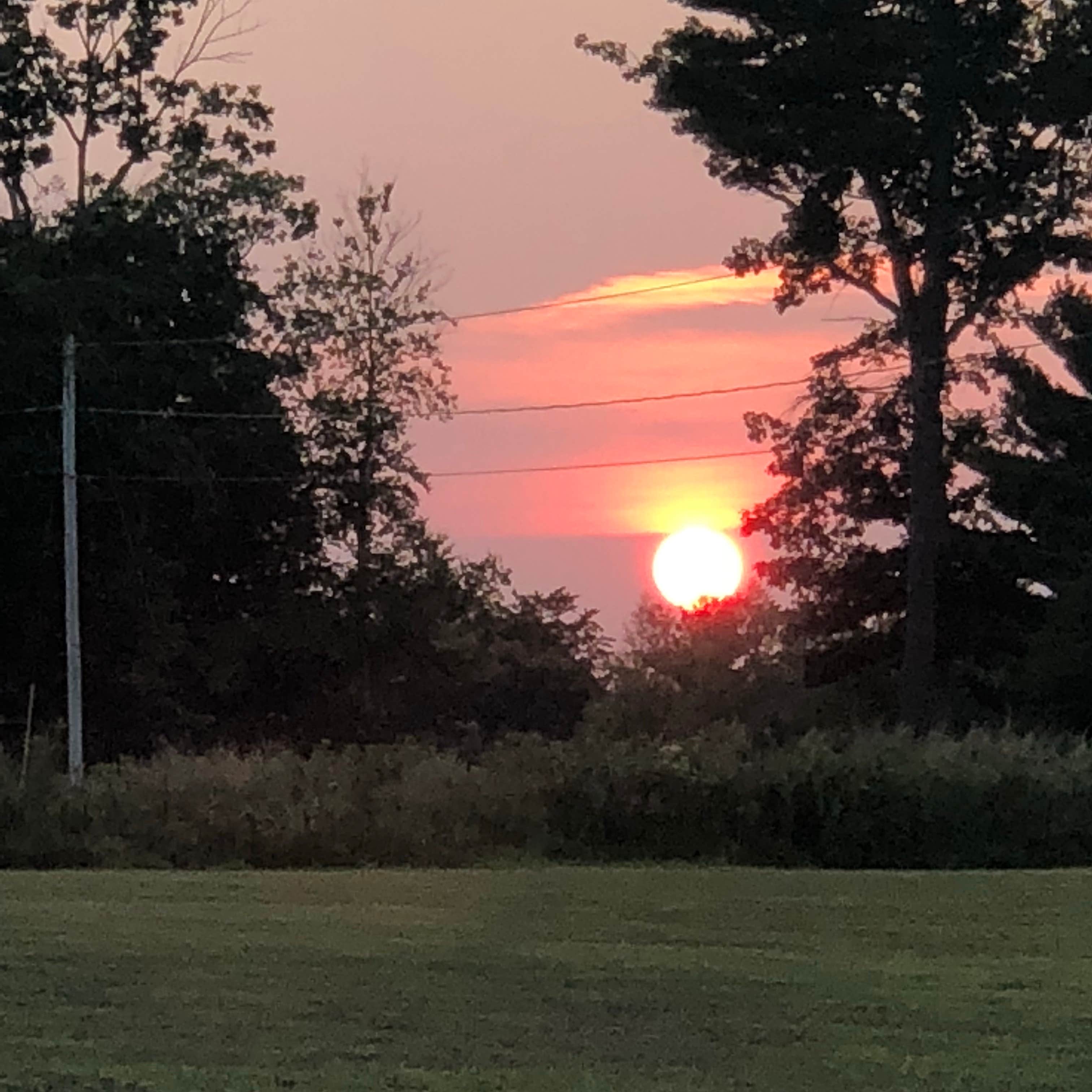 Wawaloam Campground Camping | The Dyrt