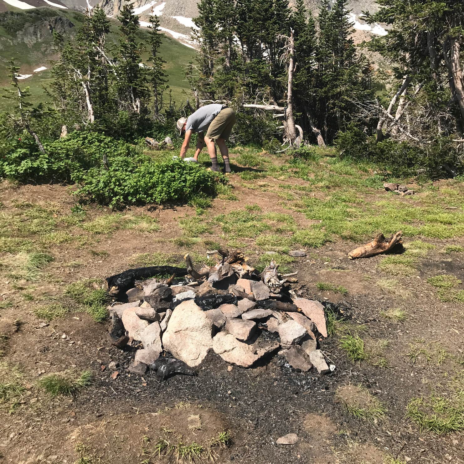 Primitive Sites — State Forest State Park Camping | Gould, Colorado