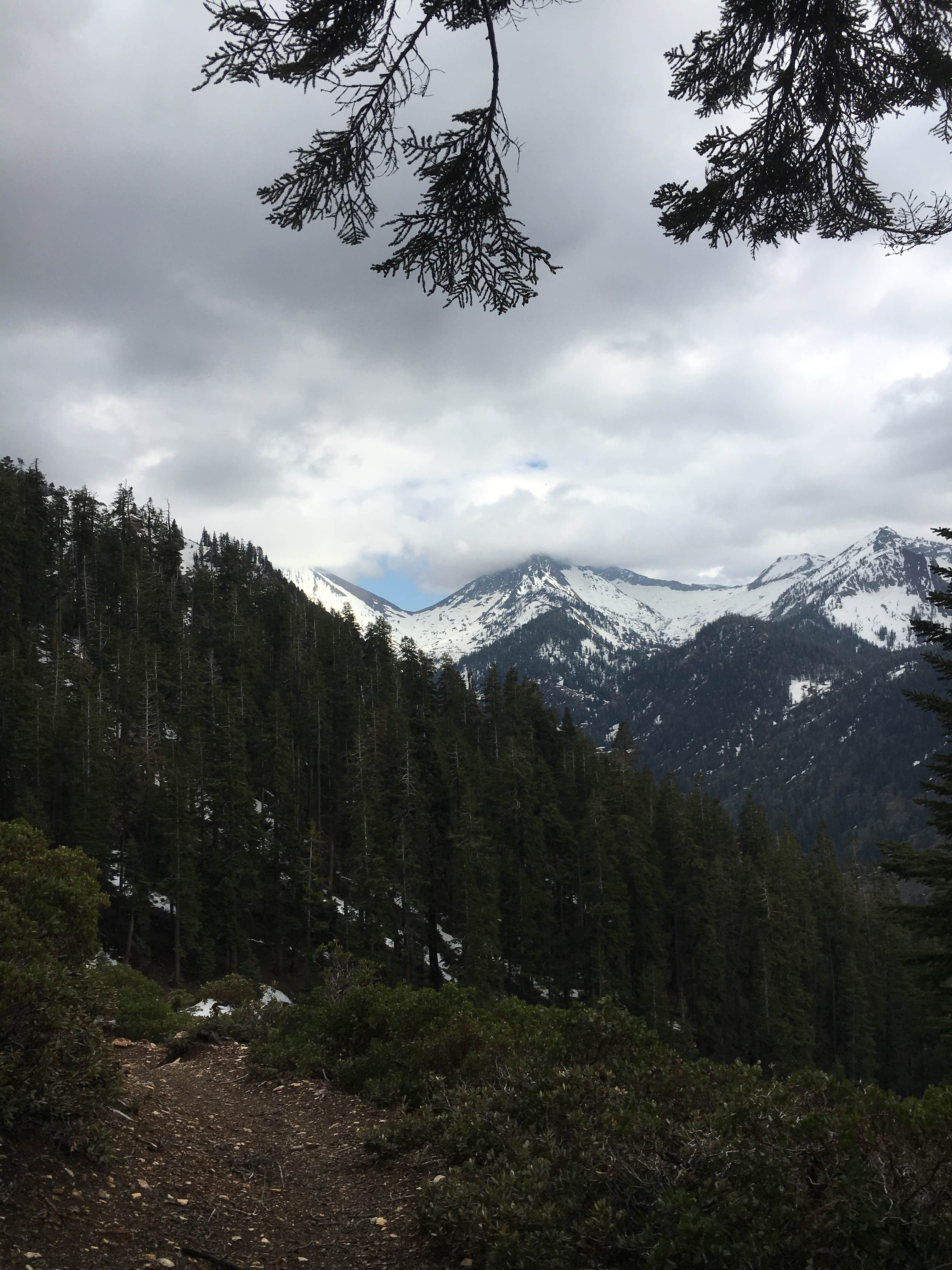 Cold Springs Campground | The Dyrt