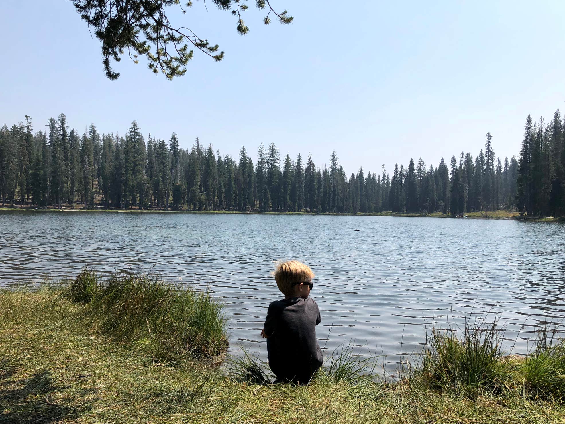 Summit Lake North Camping | The Dyrt