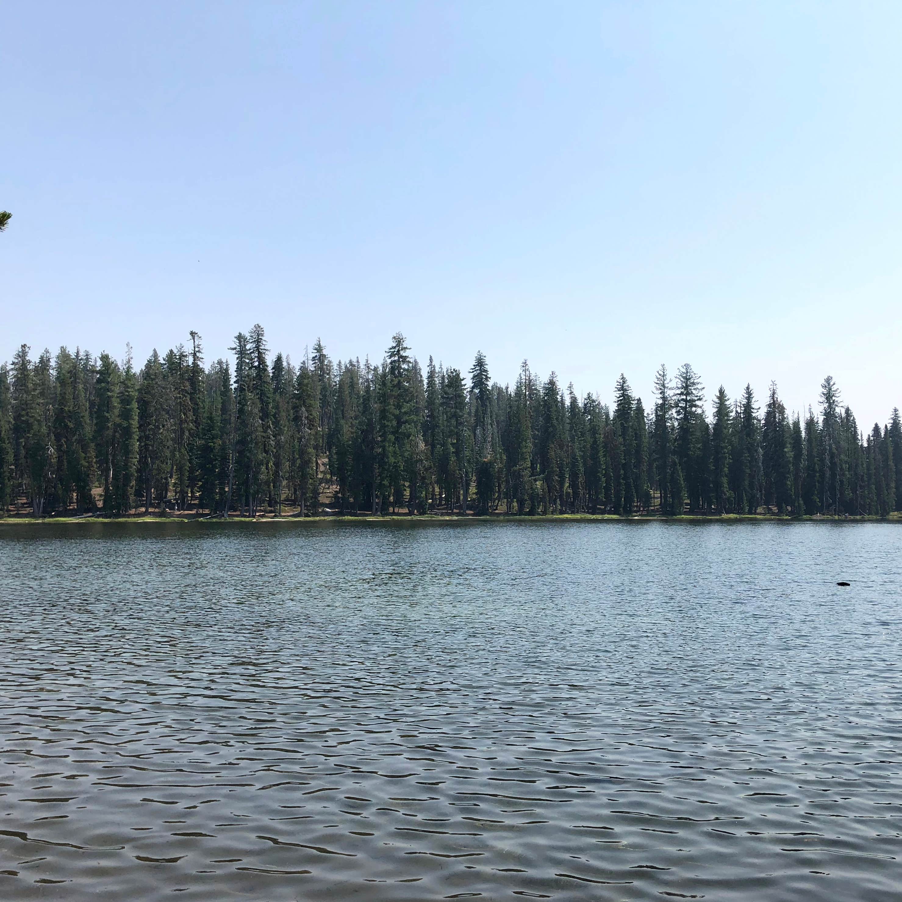 Summit Lake North Camping | The Dyrt