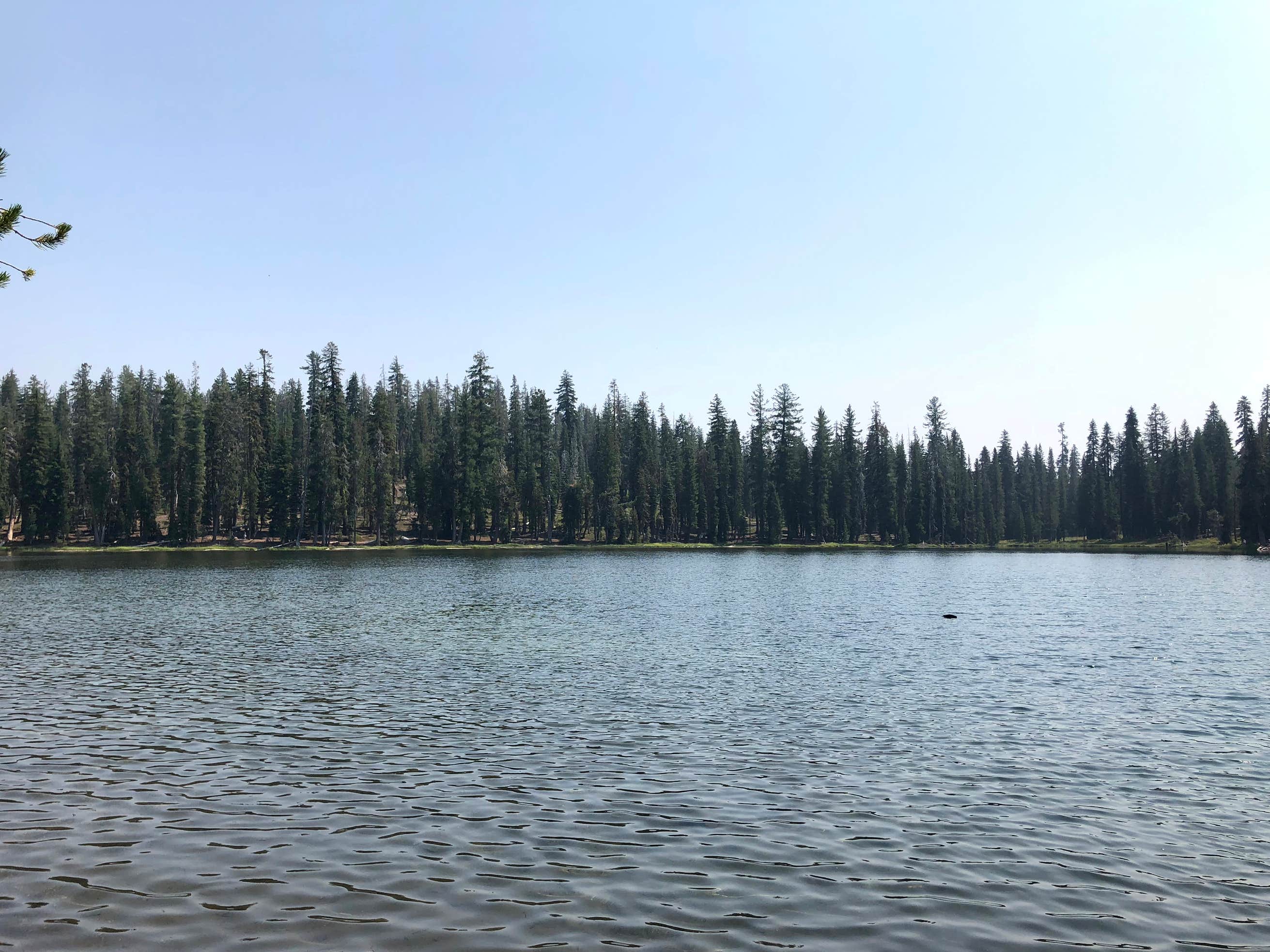 Summit Lake North Camping | The Dyrt