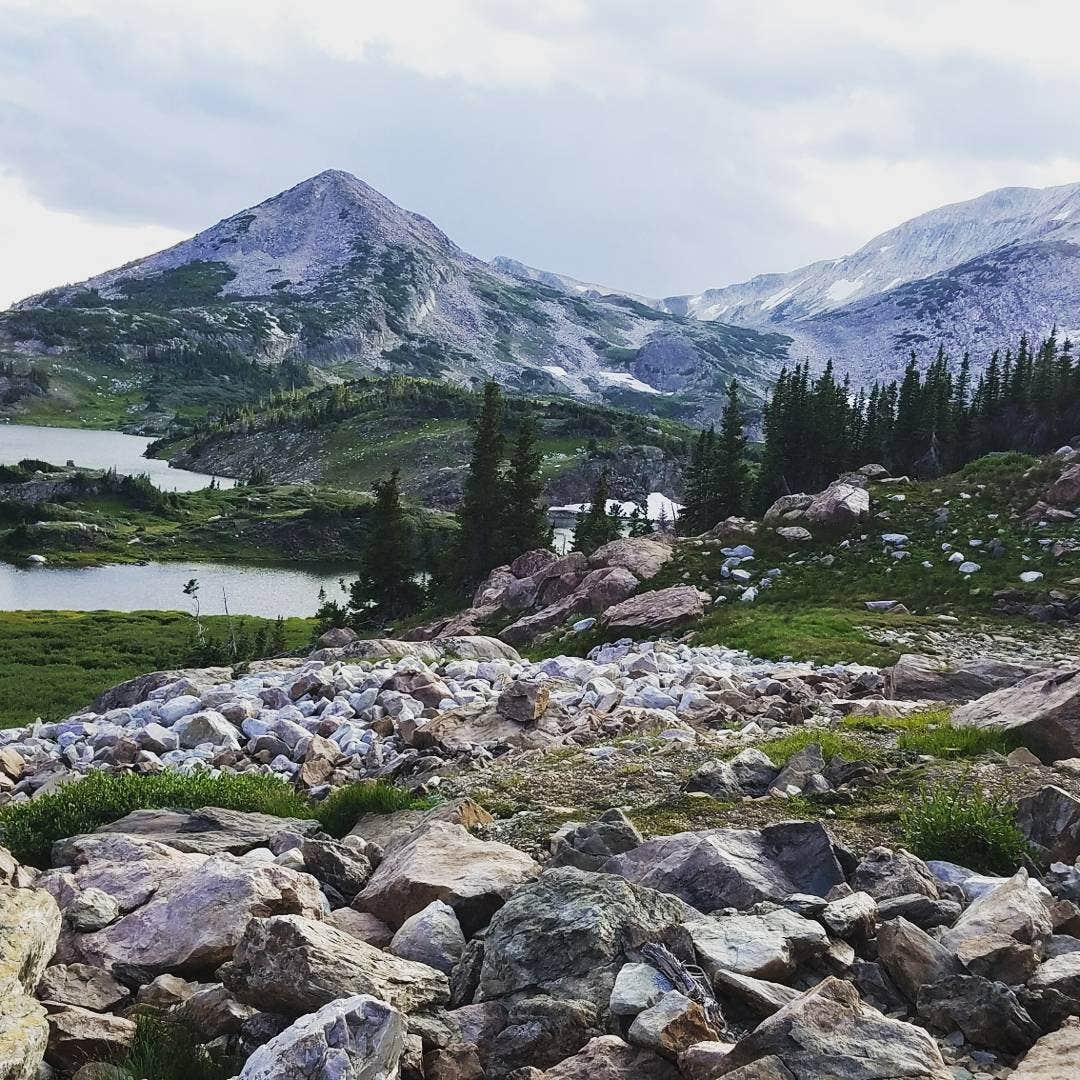 Medicine Bow-Routt/Sugarloaf | The Dyrt