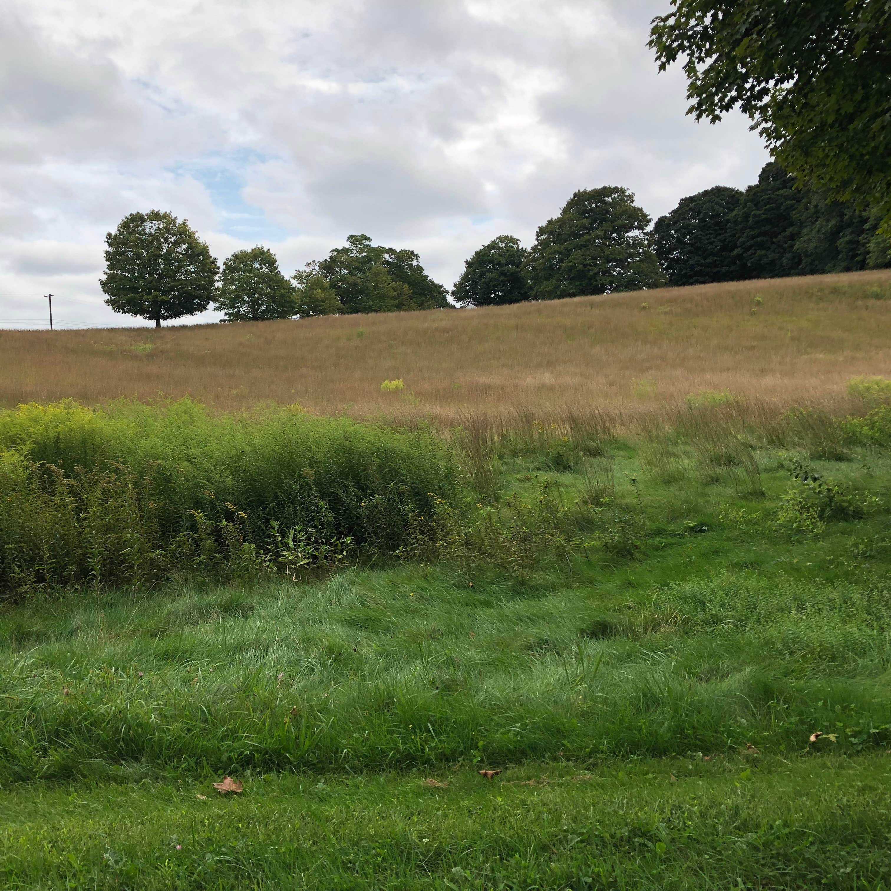 Ward Pound Ridge Reservation Camping | The Dyrt