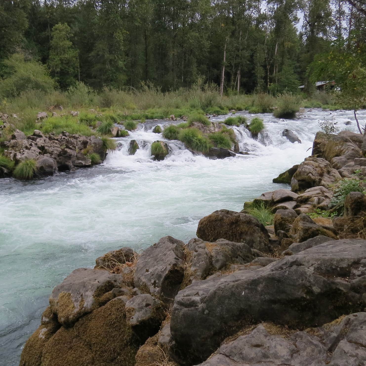 Waterloo County Park Camping | The Dyrt