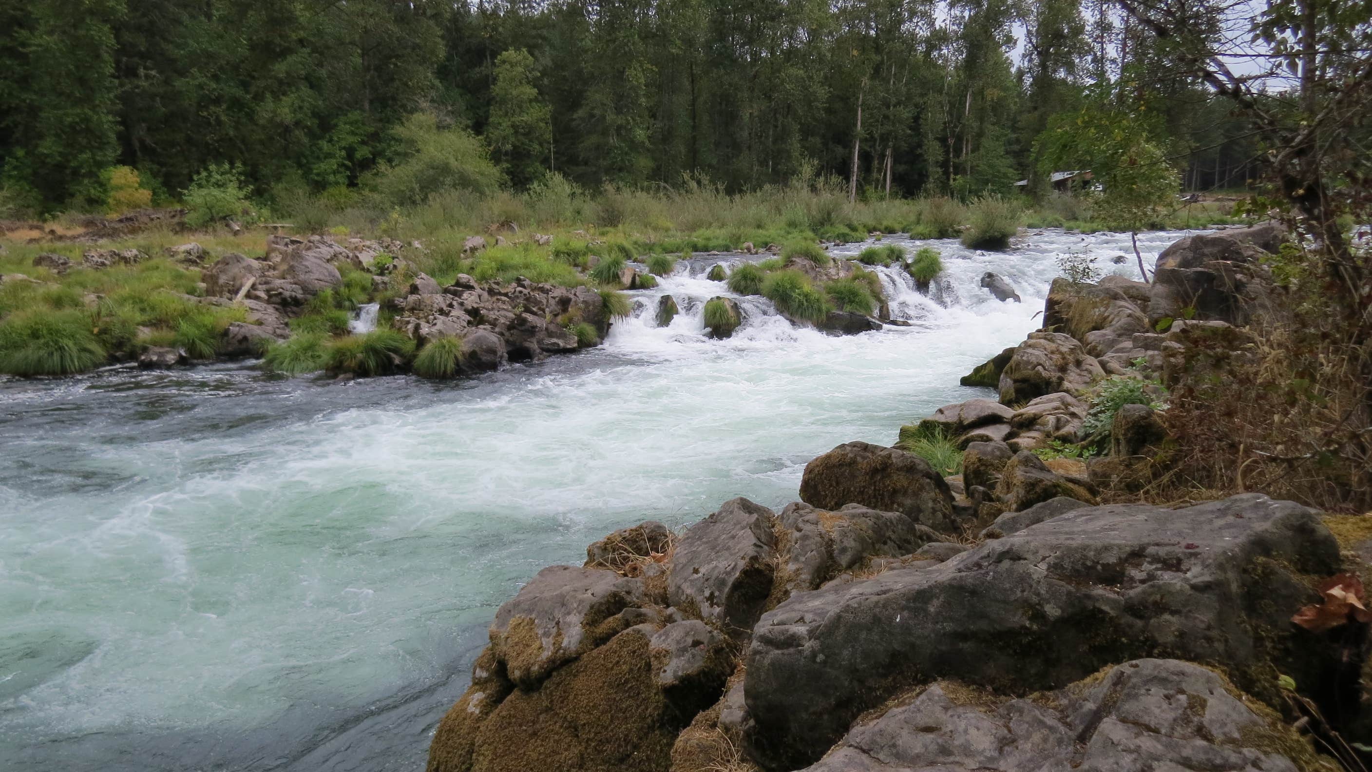 Waterloo County Park Camping | Lebanon, OR