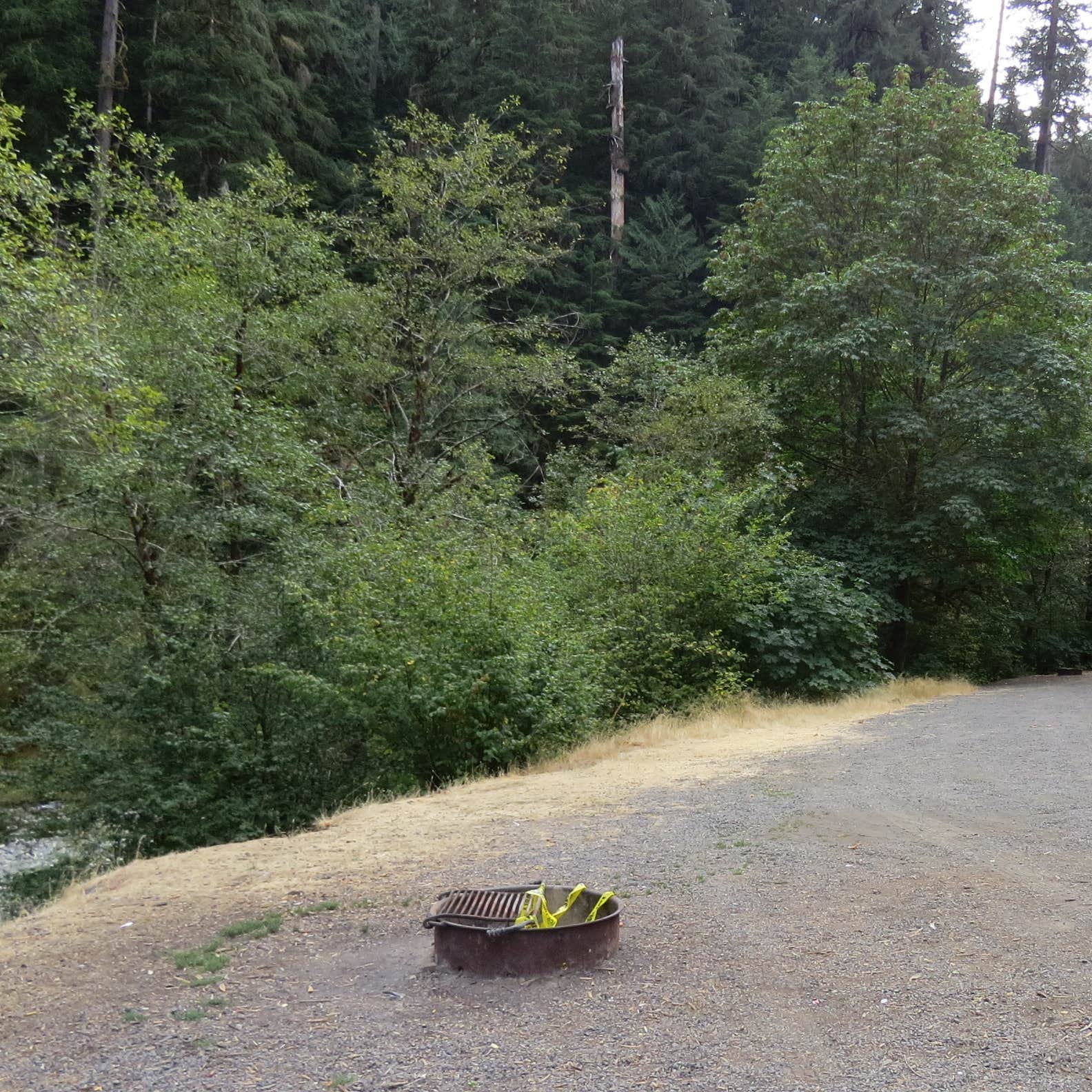 Quartzville Recreation Corridor Camping | The Dyrt
