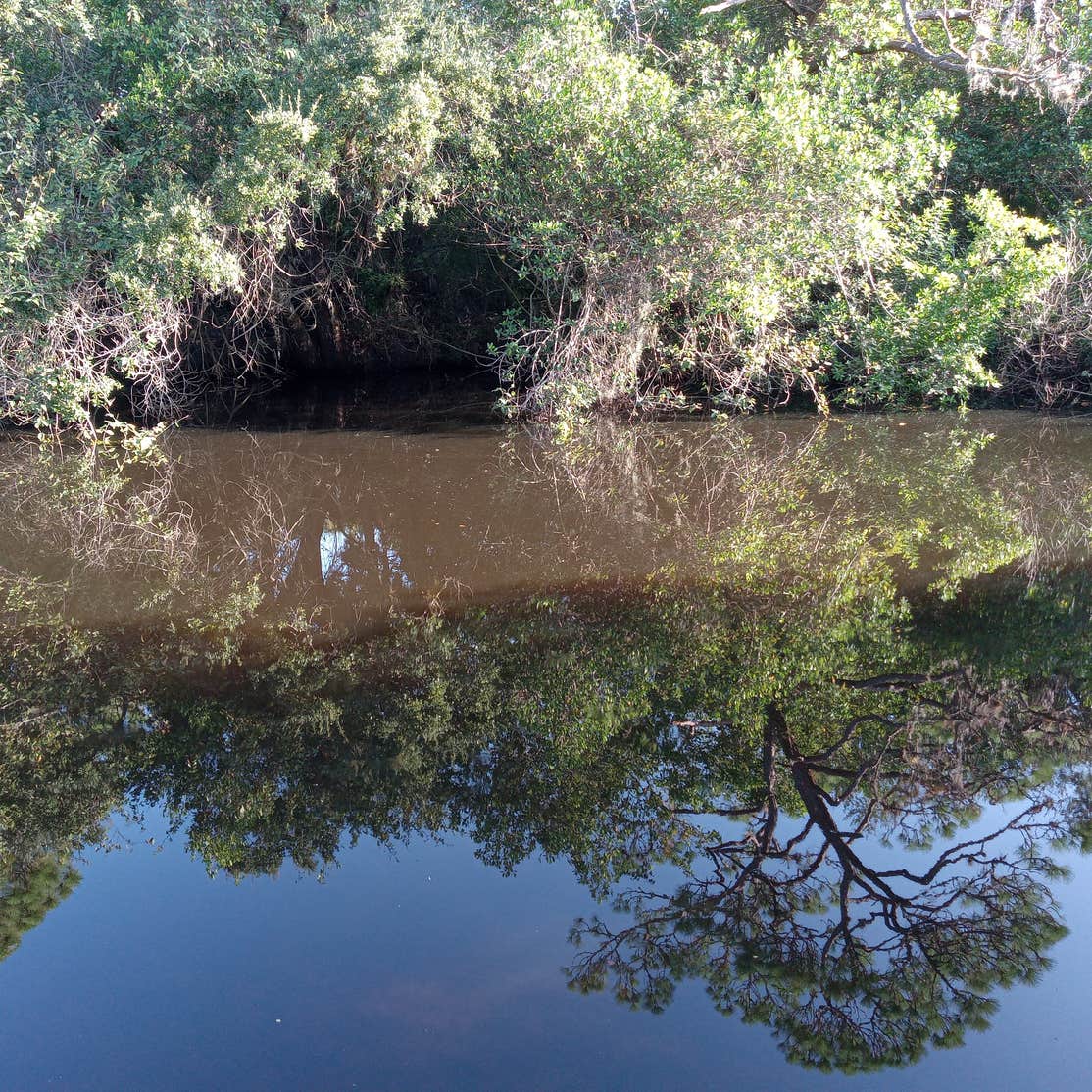 Koreshan State Park Campground | Estero, FL