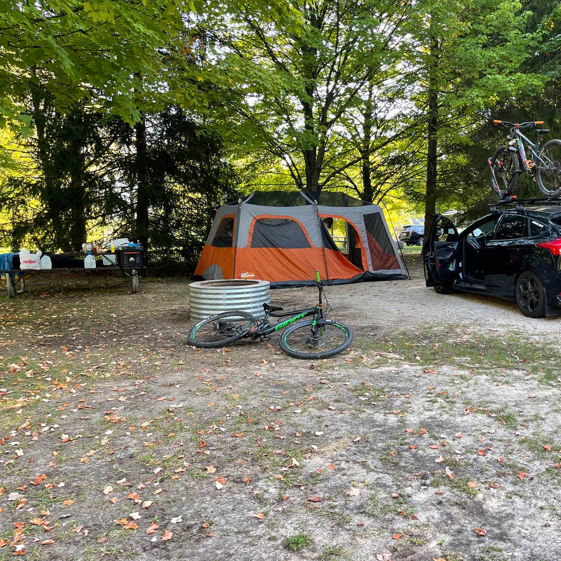 Wabasis Lake County Park Camping | Cannonsburg, Michigan