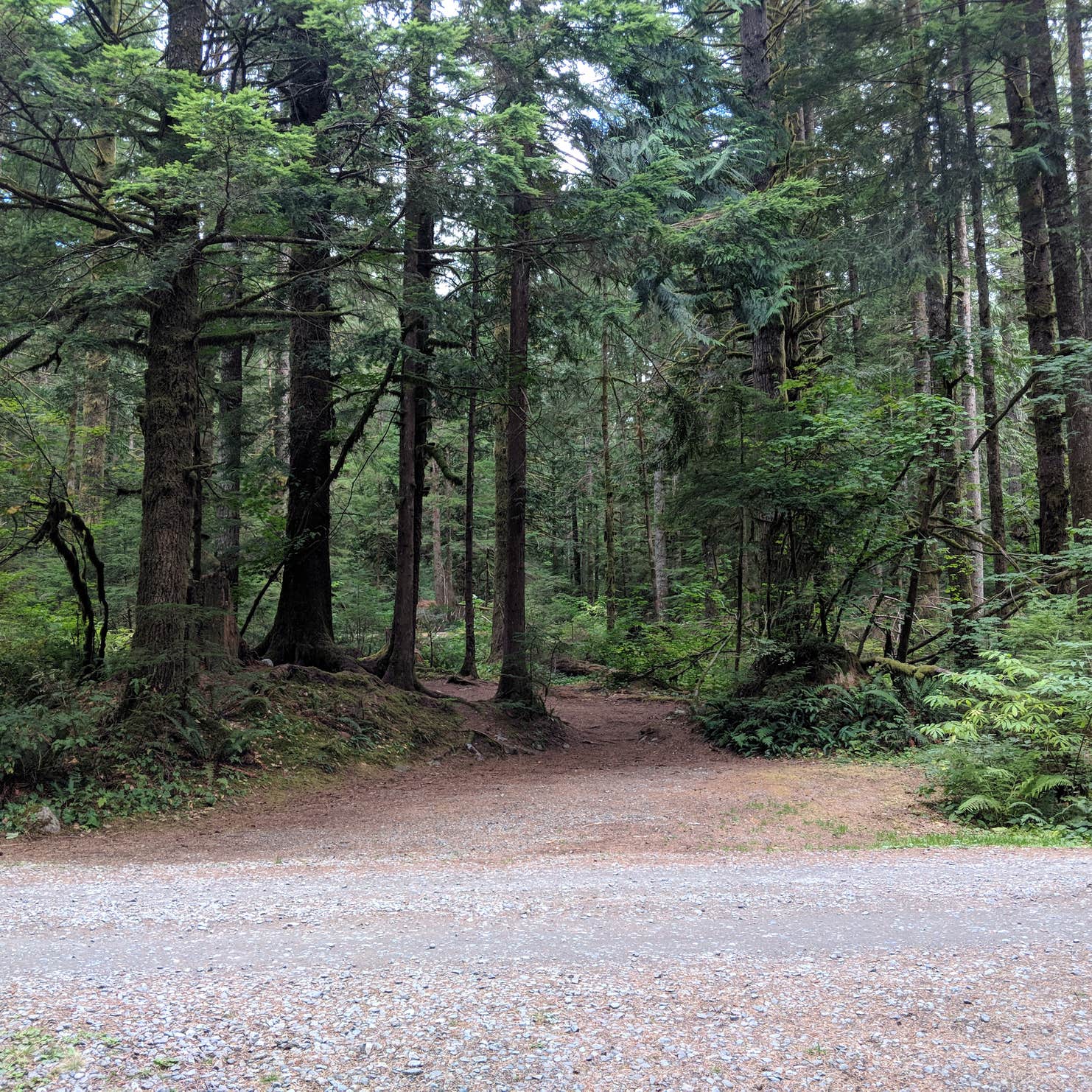 Tinkham Campground Camping | The Dyrt