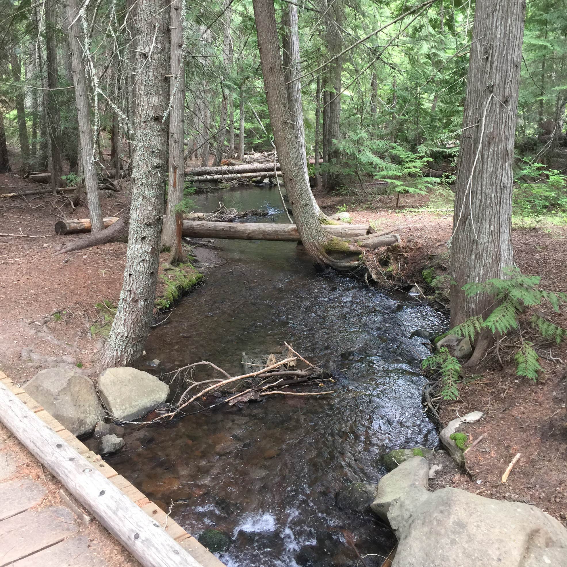 Eight Mile Camping | Dufur, OR