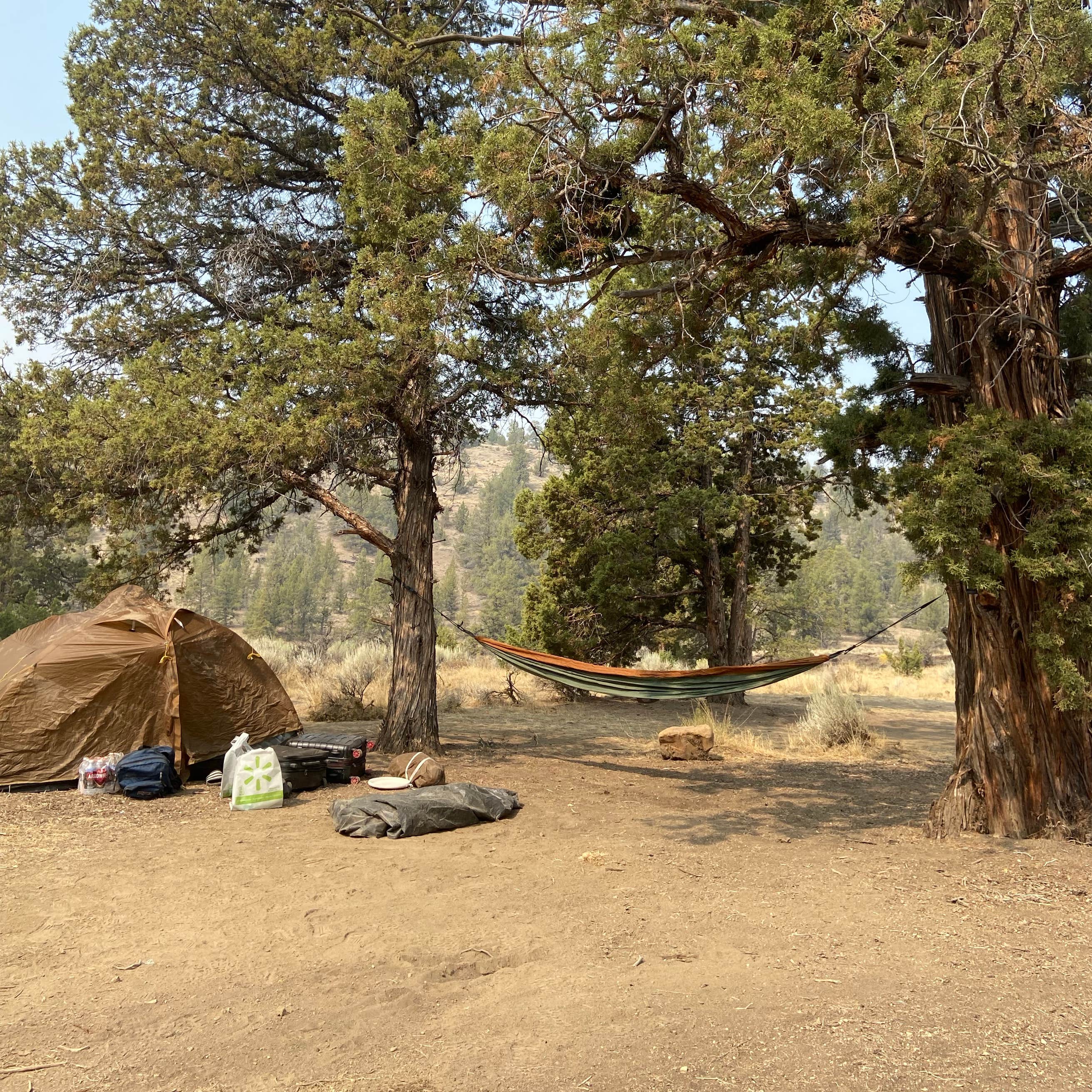 Steelhead Falls Trailhead & Campground Camping | The Dyrt