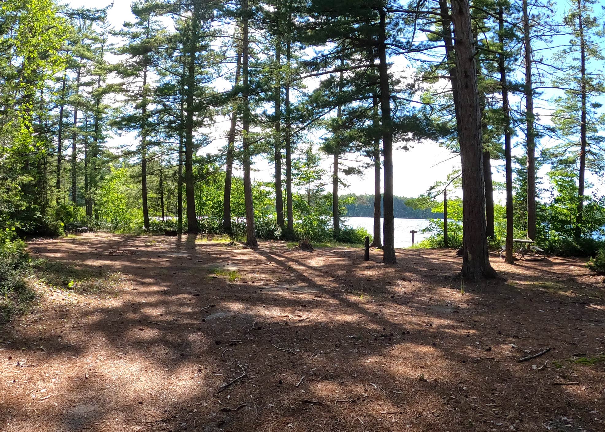 Pretty Lake State Forest Campground Camping | The Dyrt