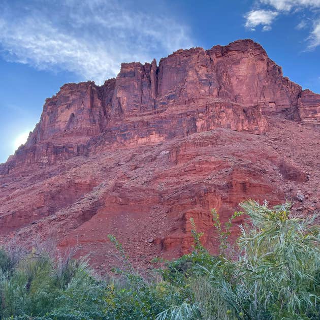 Hal Canyon Campground | Castle Valley, Utah
