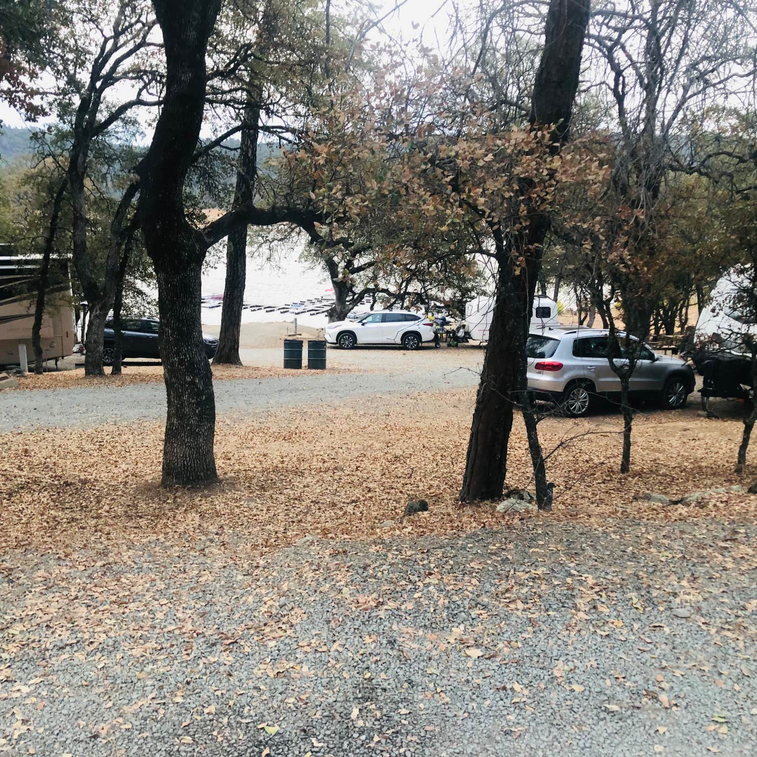 Collins Lake Recreation Area Camping | The Dyrt