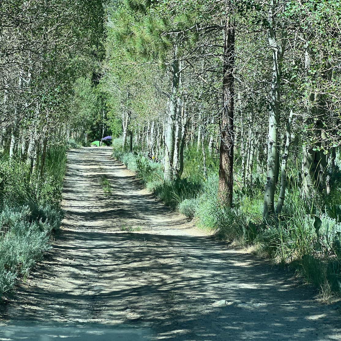 Lundy Lake Campground | Mono City, California