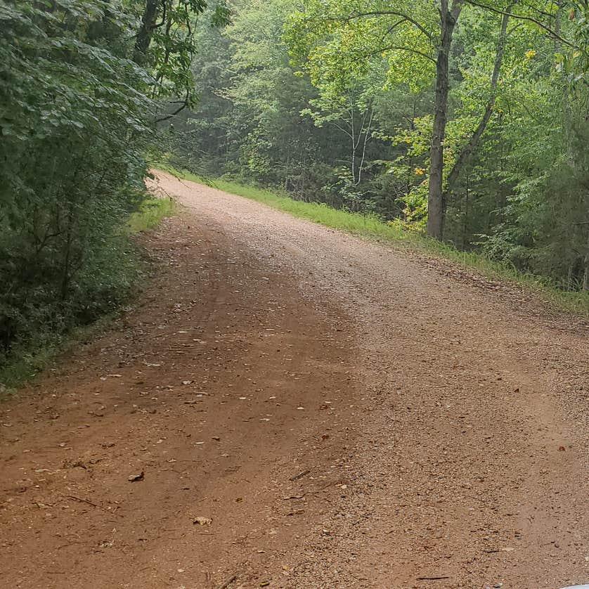 LBL FS154 - Dispersed Camping | The Dyrt