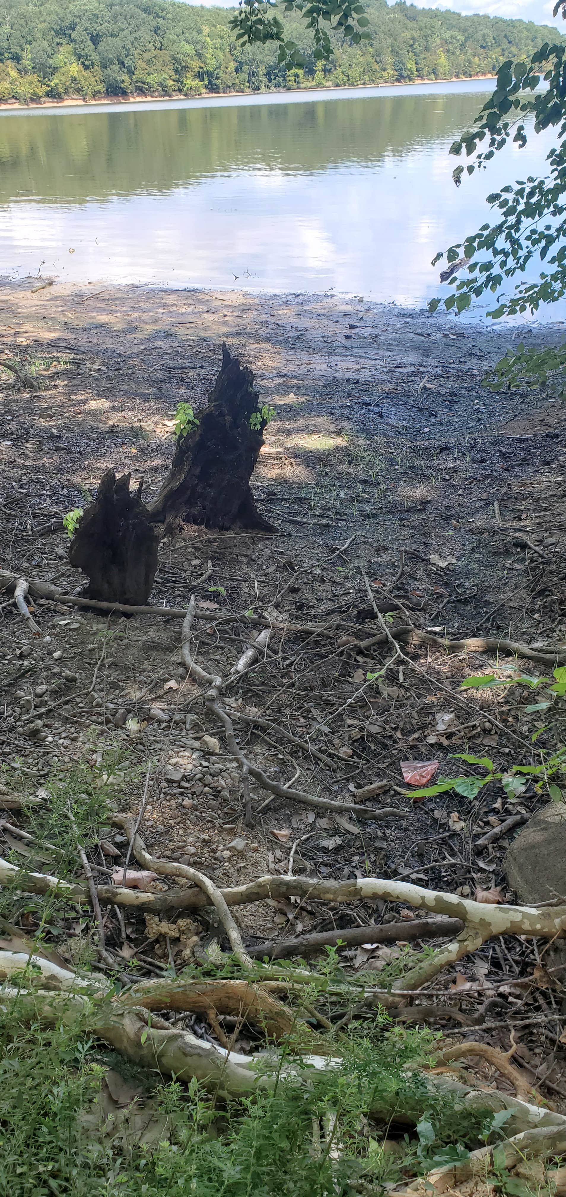 LBL FS154 - Dispersed Camping | Land Between the Lakes National Recreation Area, KY