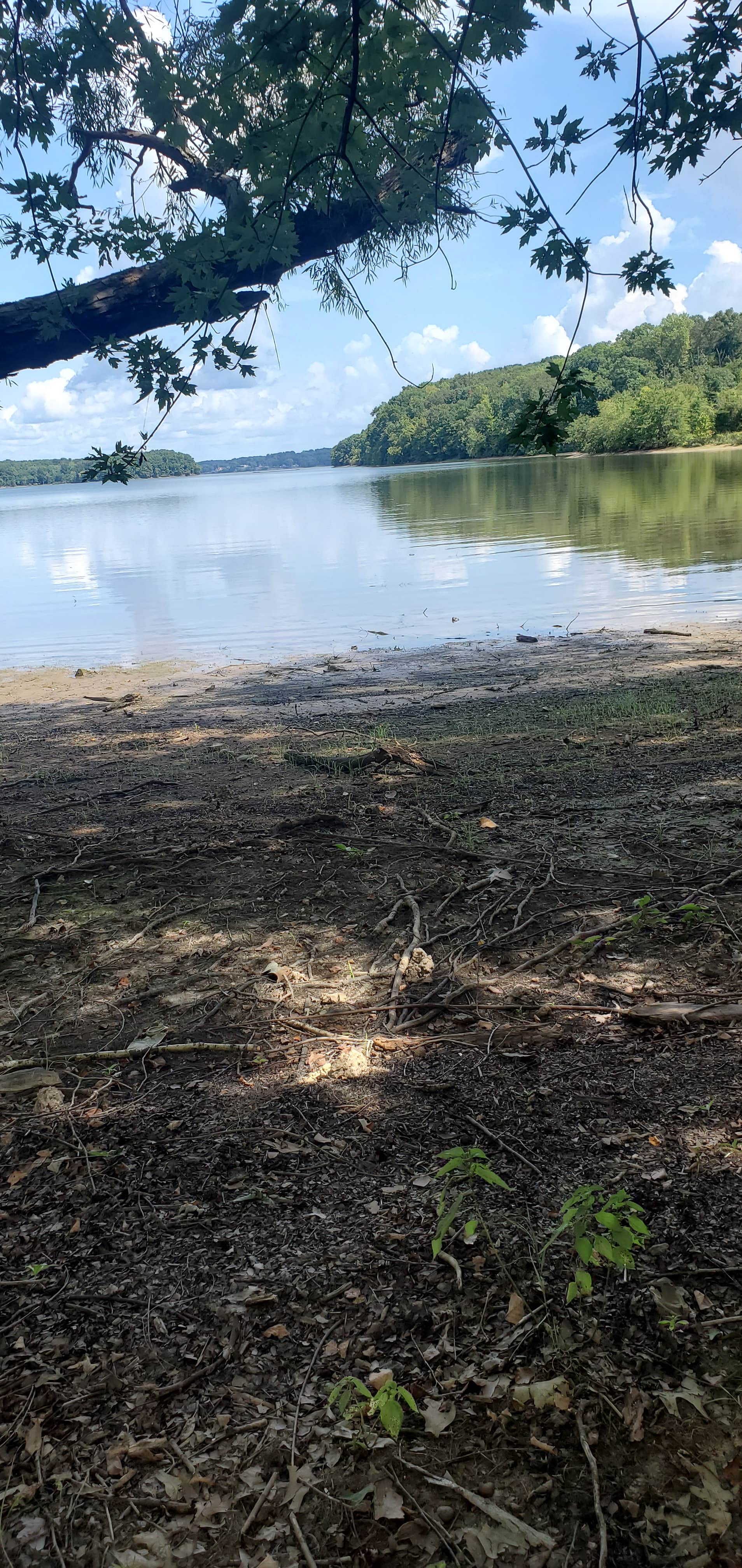 LBL FS154 - Dispersed Camping | Land Between the Lakes National ...