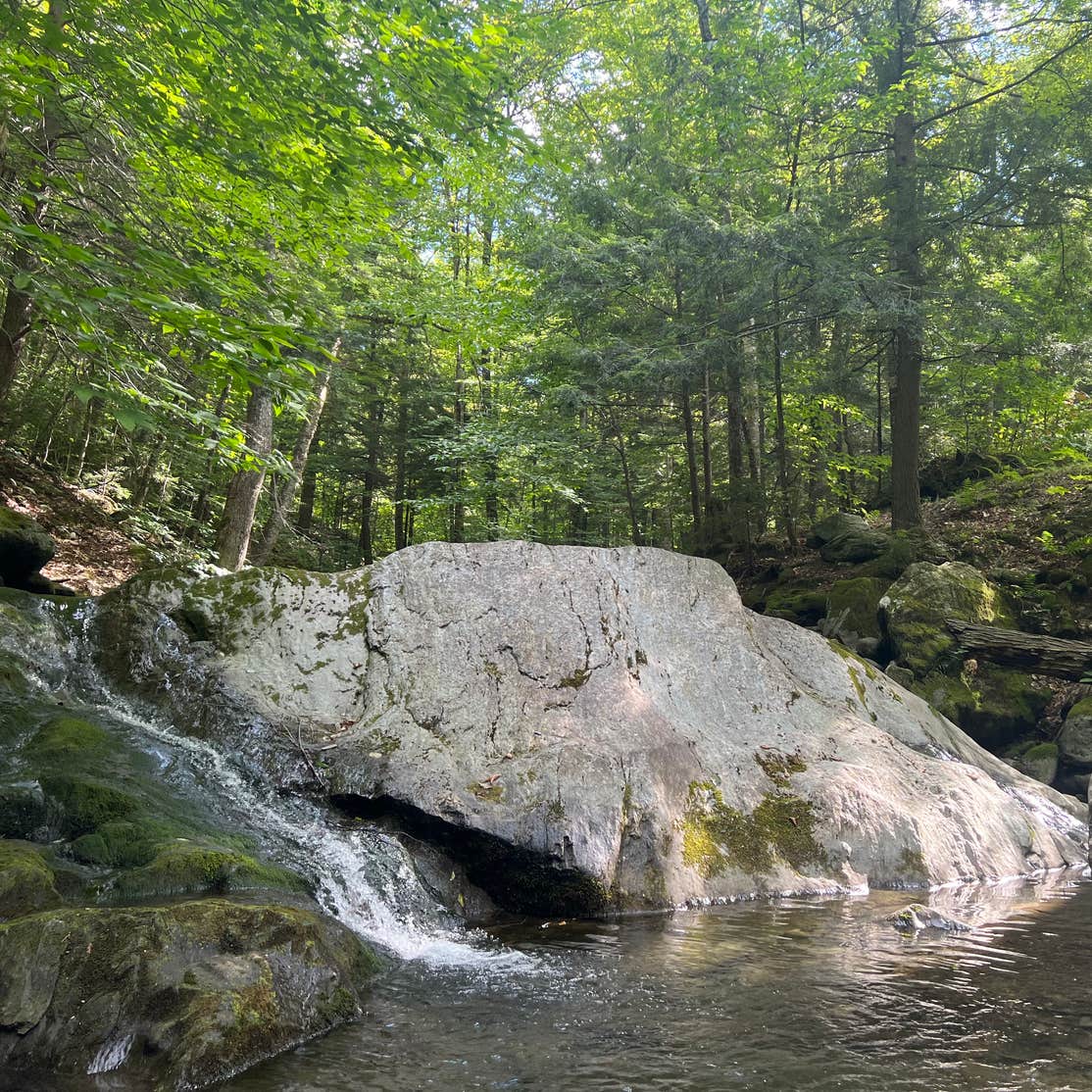 Stony Brook Backcountry Shelter on the AT in Vermont — Appalachian ...