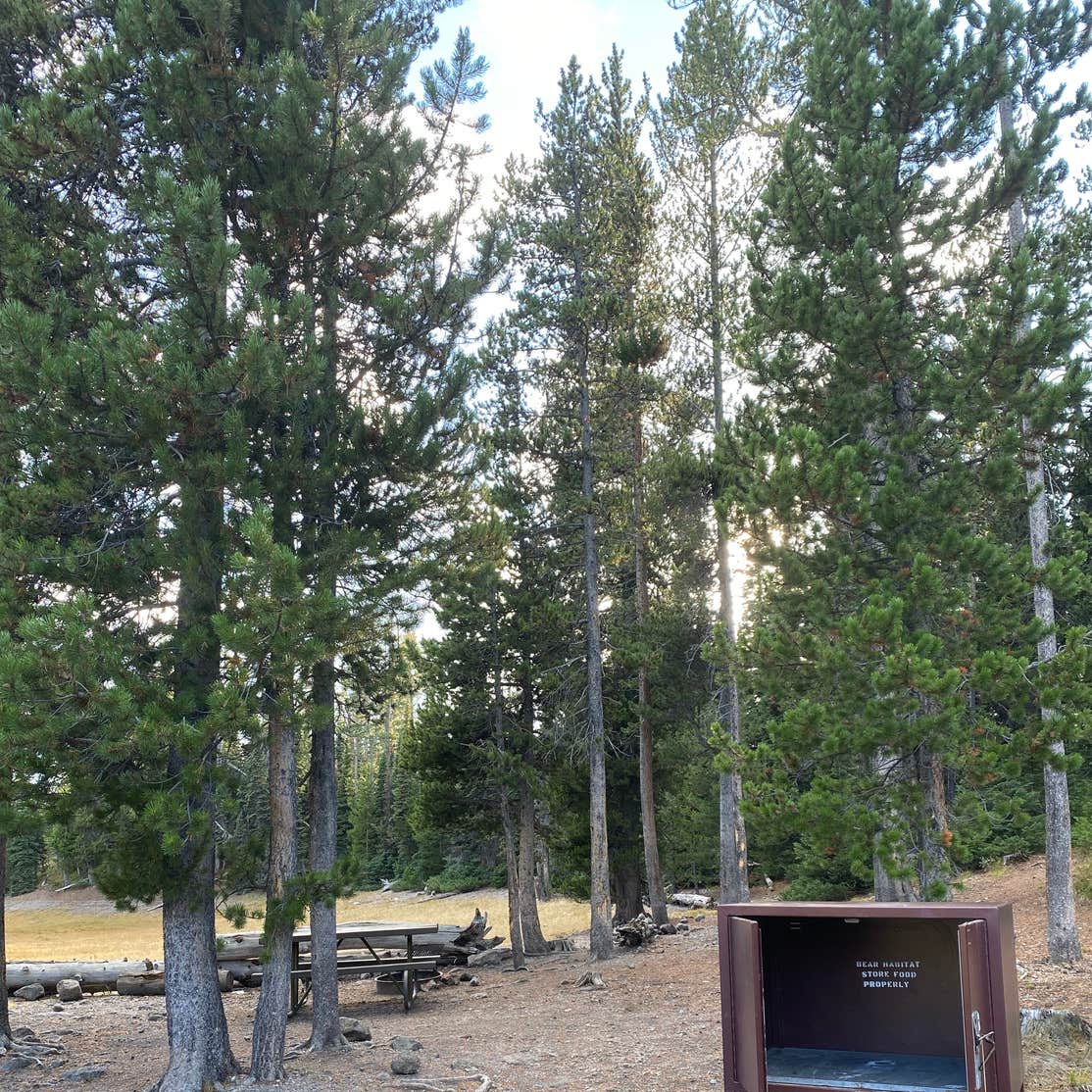 Lewis Lake — Yellowstone National Park Camping | Yellowstone National ...