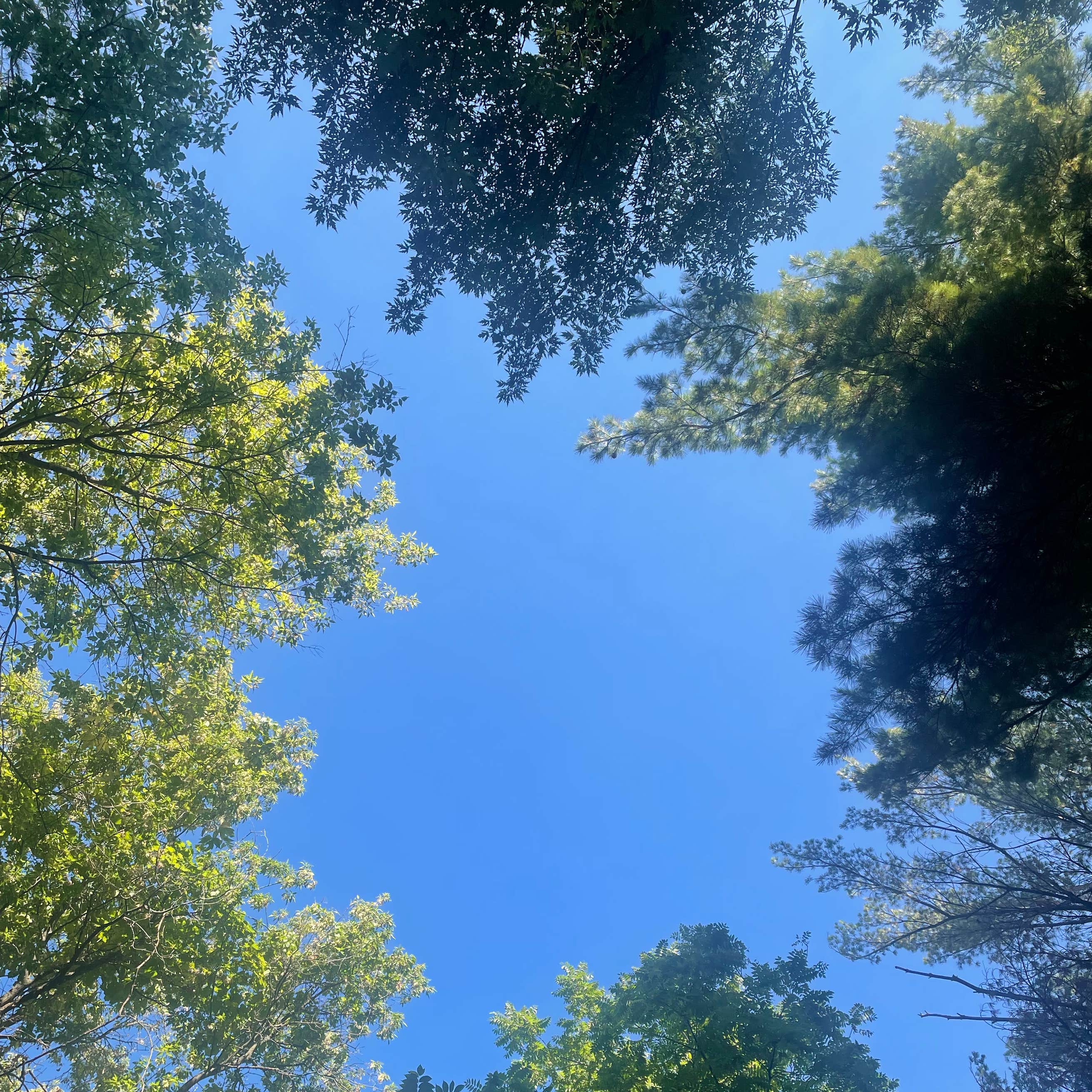 Baker Campground - Baker Park Reserve | Maple Plain, Minnesota