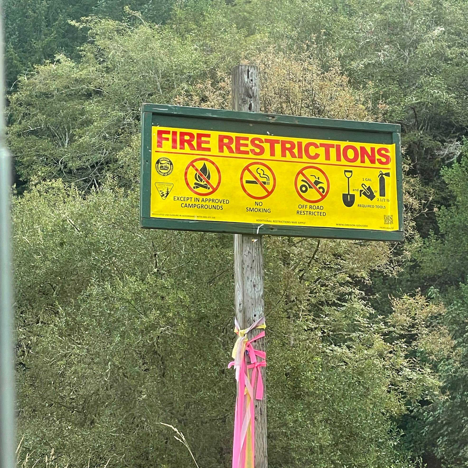 Elliott State Forest Dispersed Camping | North Bend, Oregon