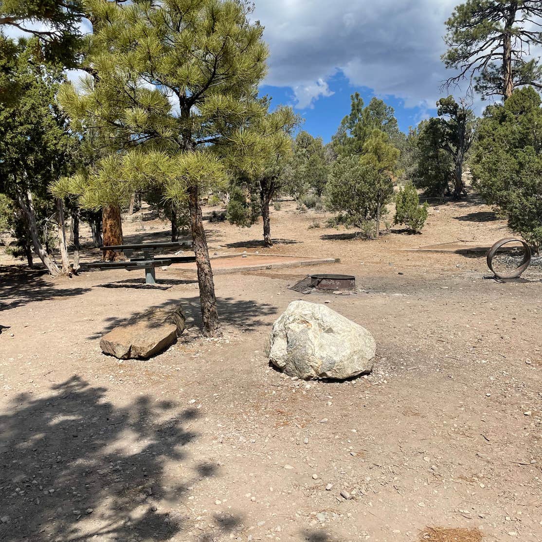 Dispersed Camping - Mormon Well Road/Desert Pass | North Las Vegas, NV