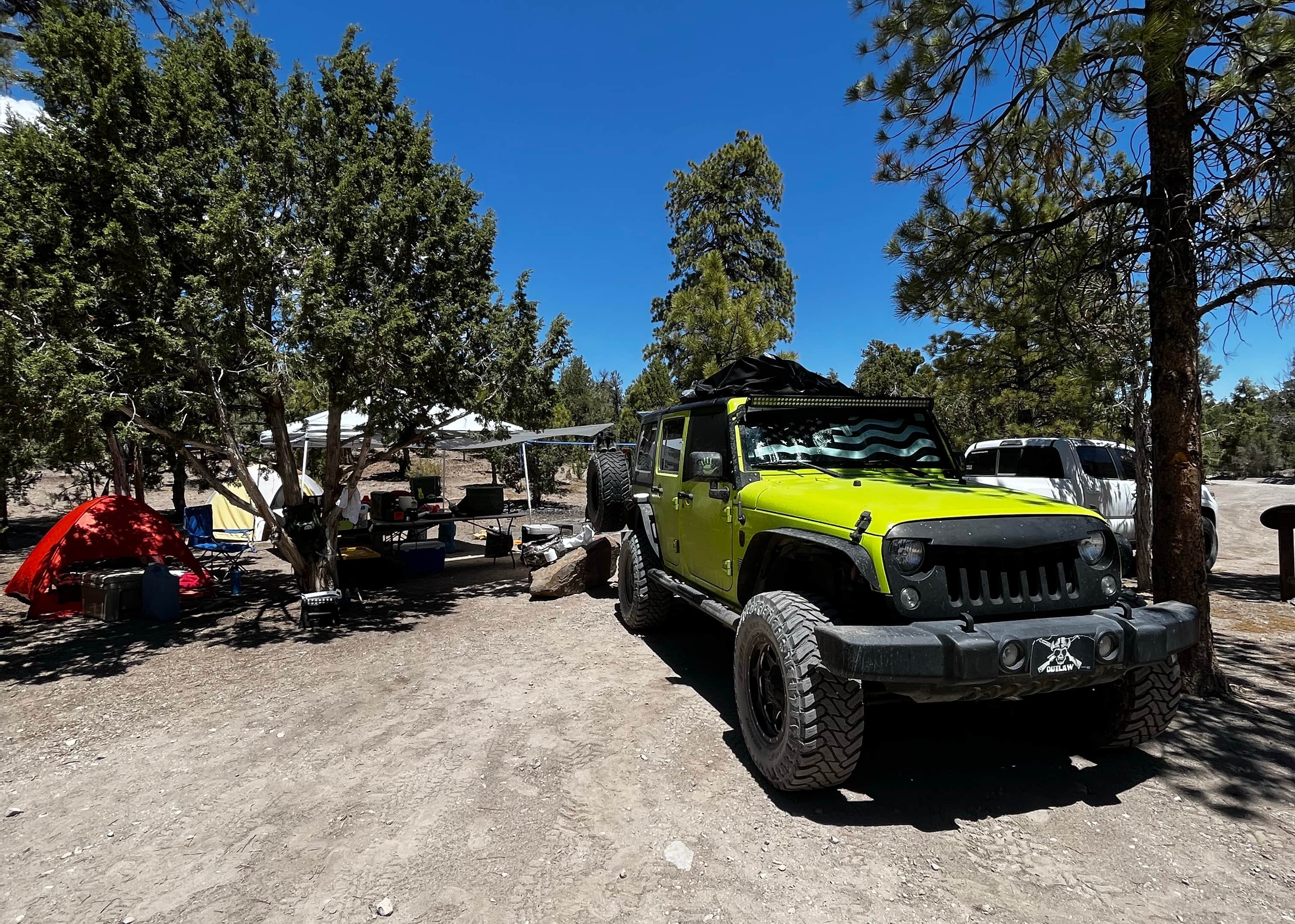 Dispersed Camping - Mormon Well Road/Desert Pass Camping | The Dyrt