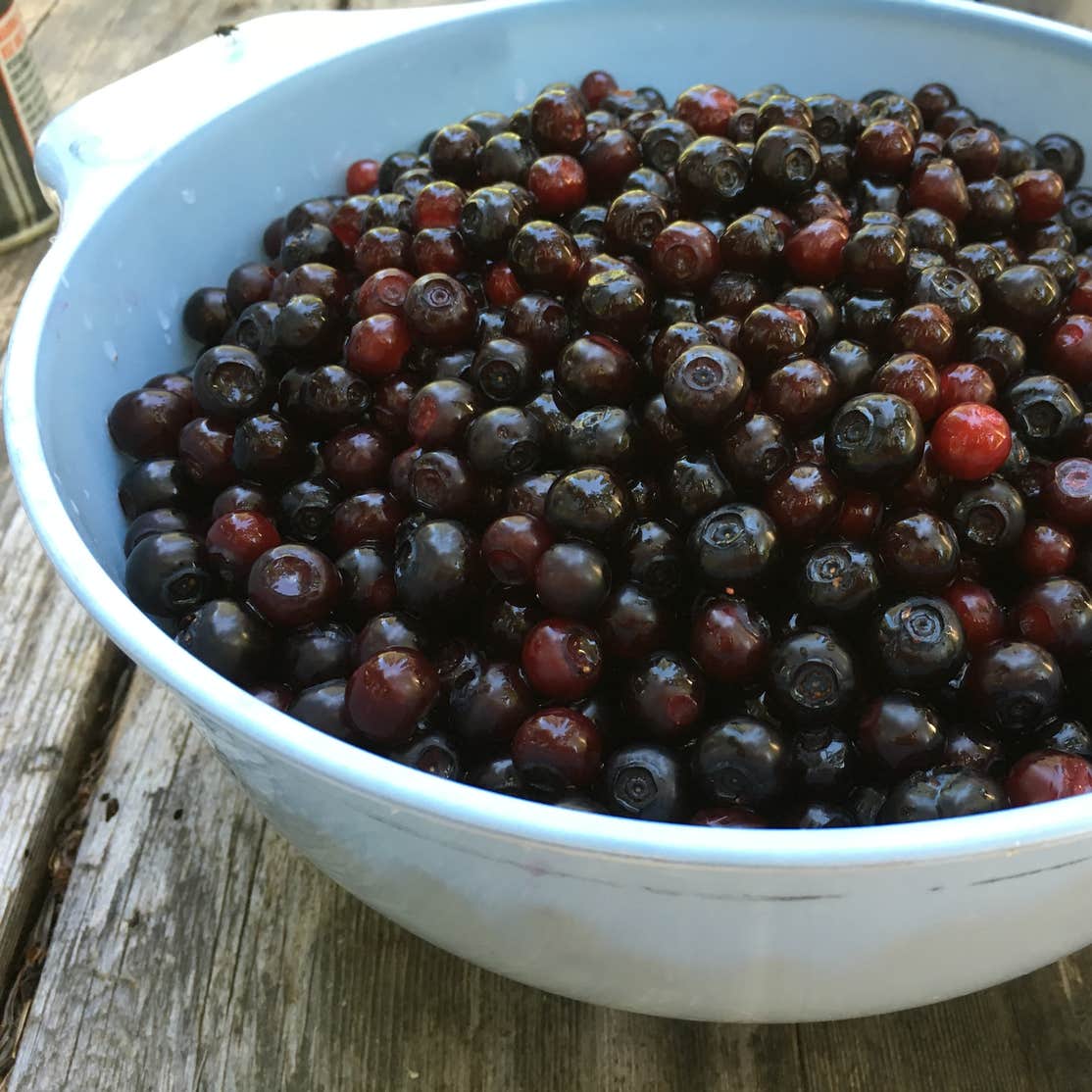 Tillicum Campground | Gifford Pinchot National Forest, Washington