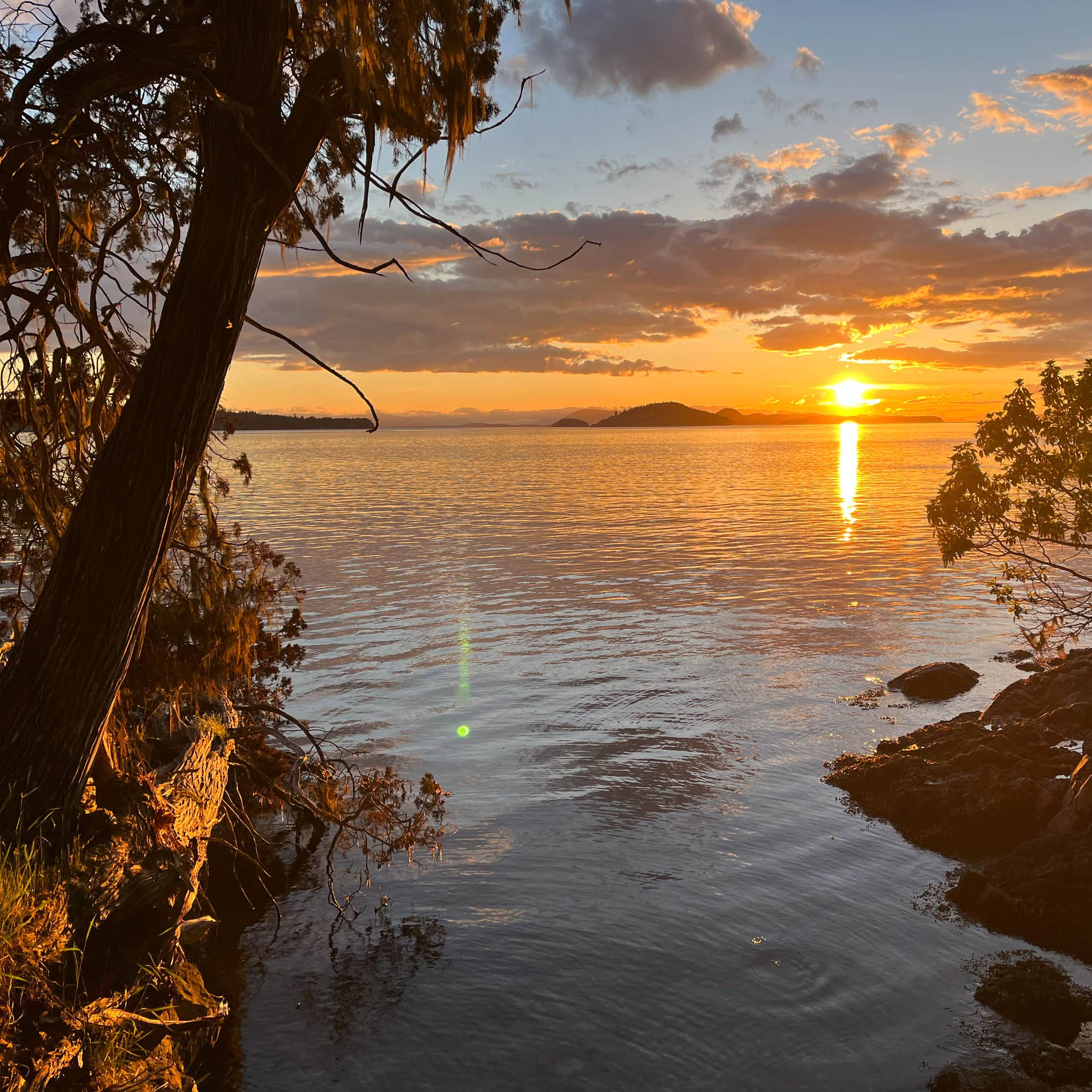 Jones Island Marine State Park Campground | Deer Harbor, Washington