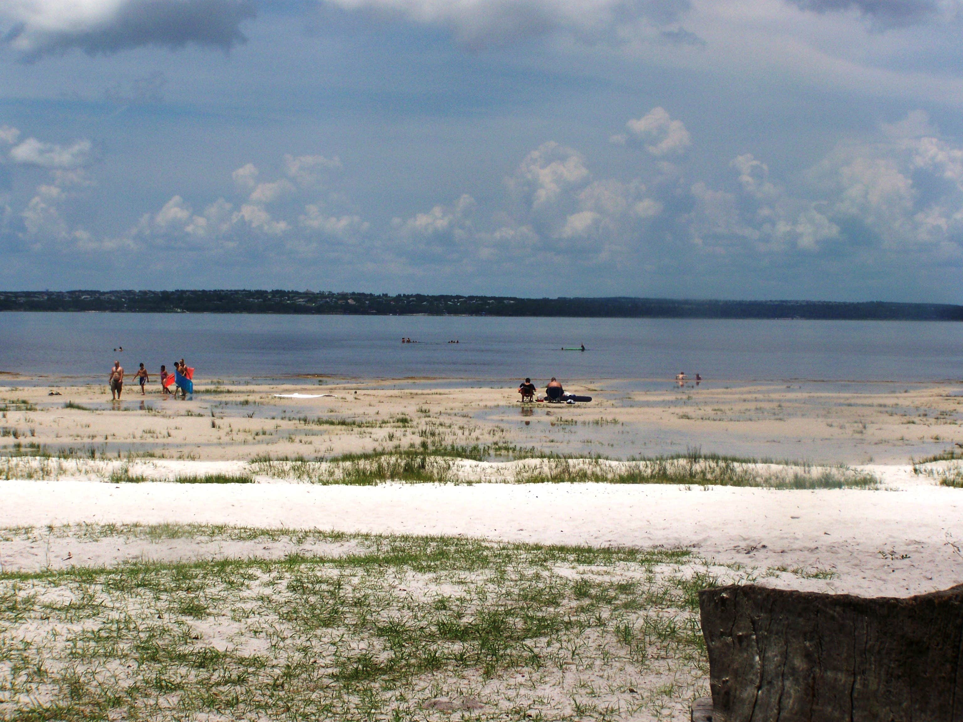 Lake Louisa State Park | The Dyrt