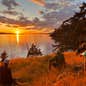 Jones Island Marine State Park Campground | Deer Harbor, Washington