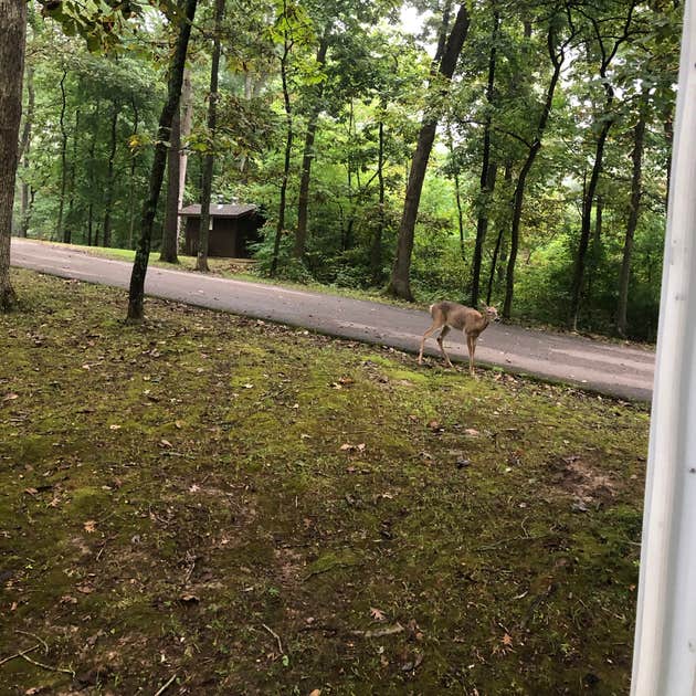 Robertsville State Park Campground | Robertsville, Missouri