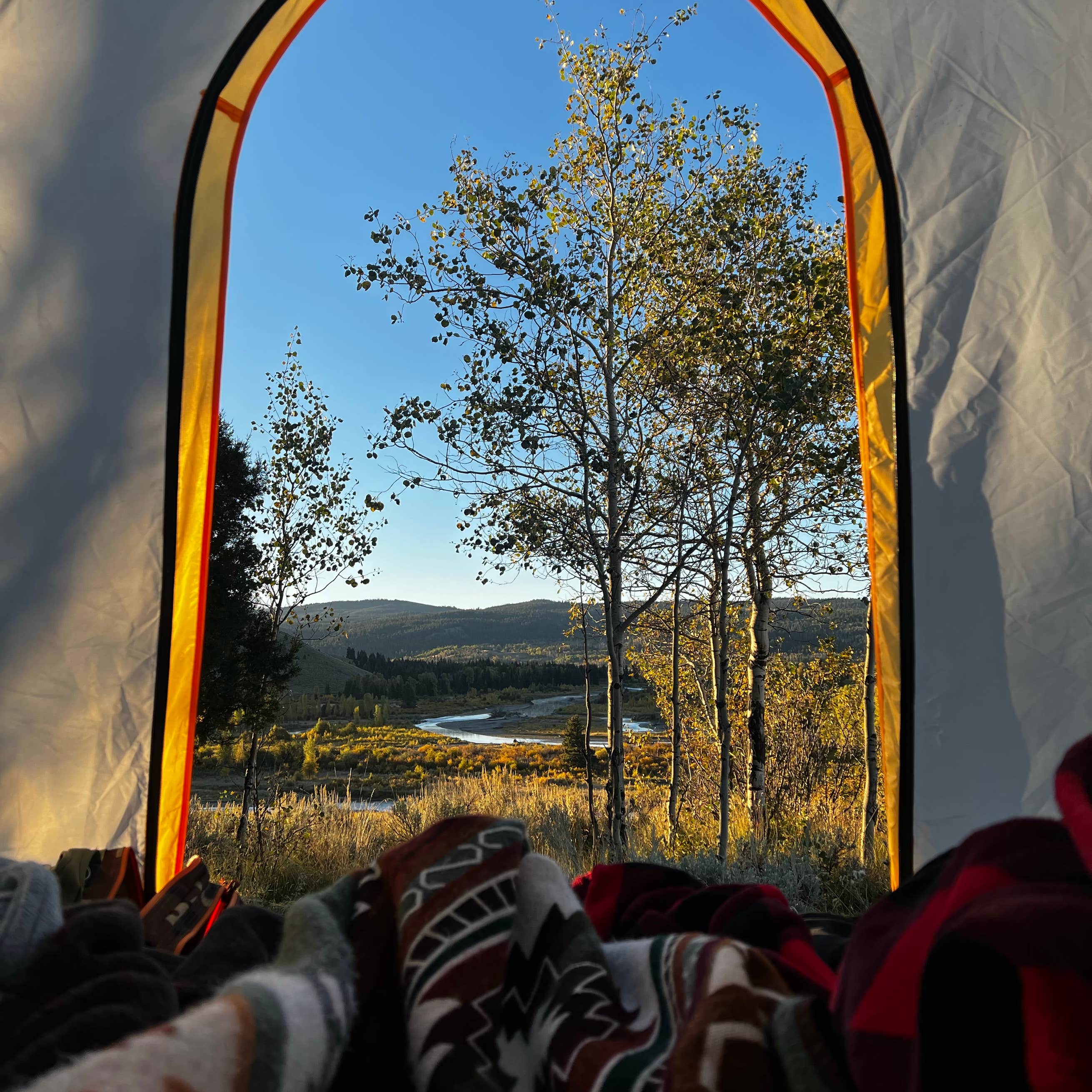 Buffalo Valley Designated Dispersed Camping Camping | The Dyrt