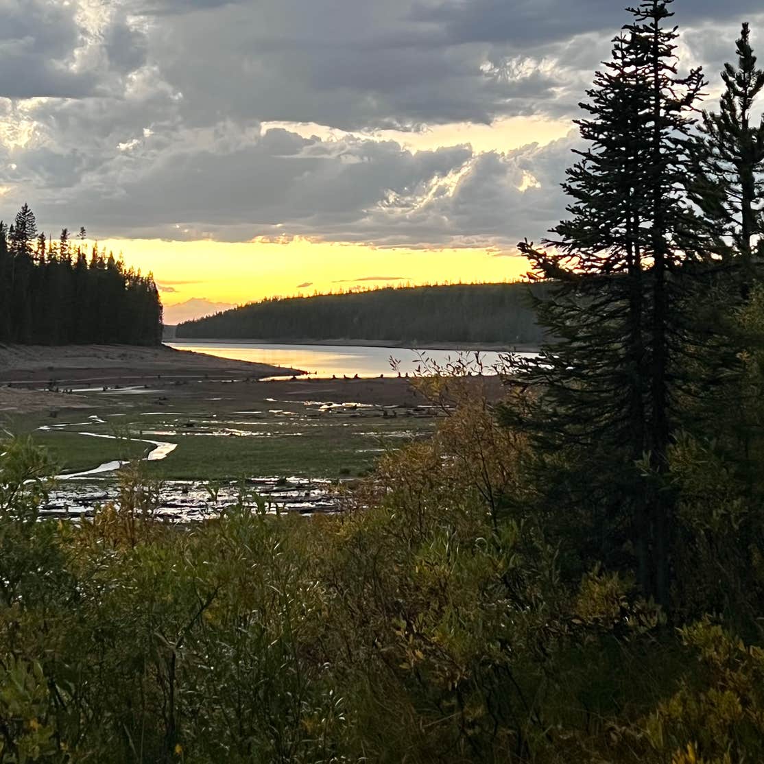 Ashton-Flagg Ranch Rd Dispersed Camping | The Dyrt