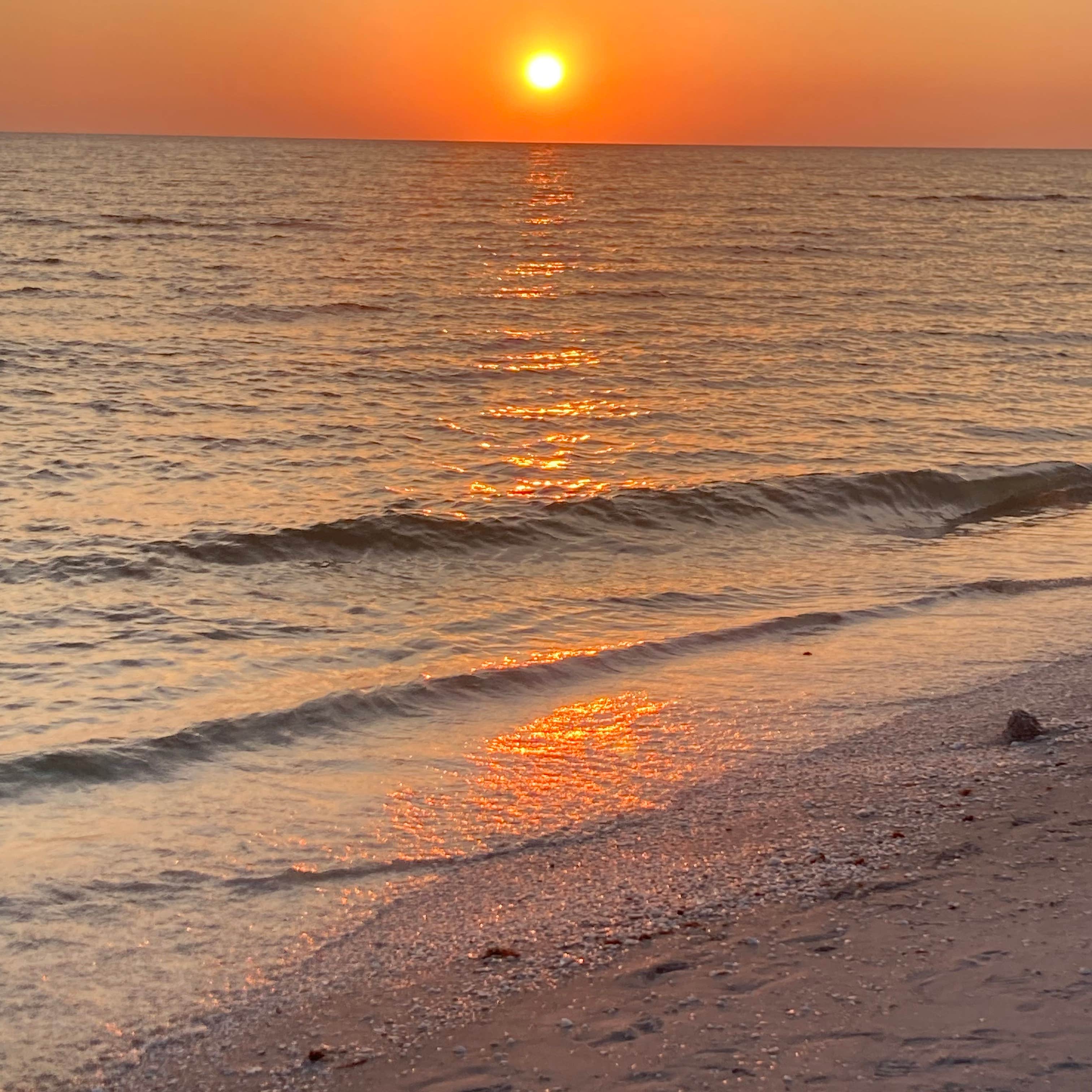 Periwinkle Park Camping | Sanibel, Florida