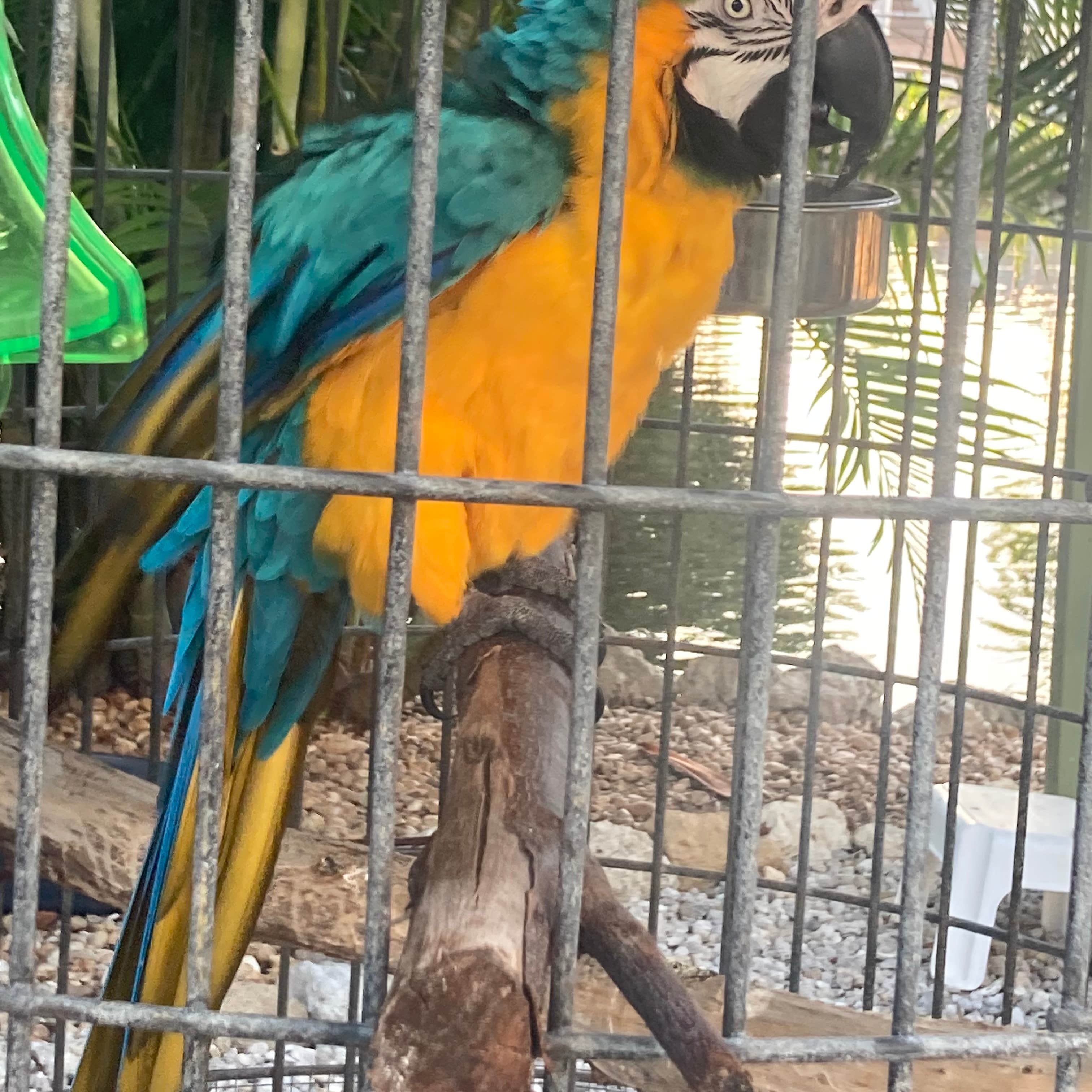 Periwinkle Park Camping | Sanibel, Florida