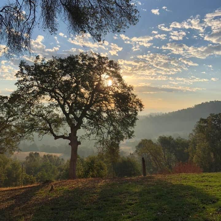 Diamond Gulch Camping | The Dyrt