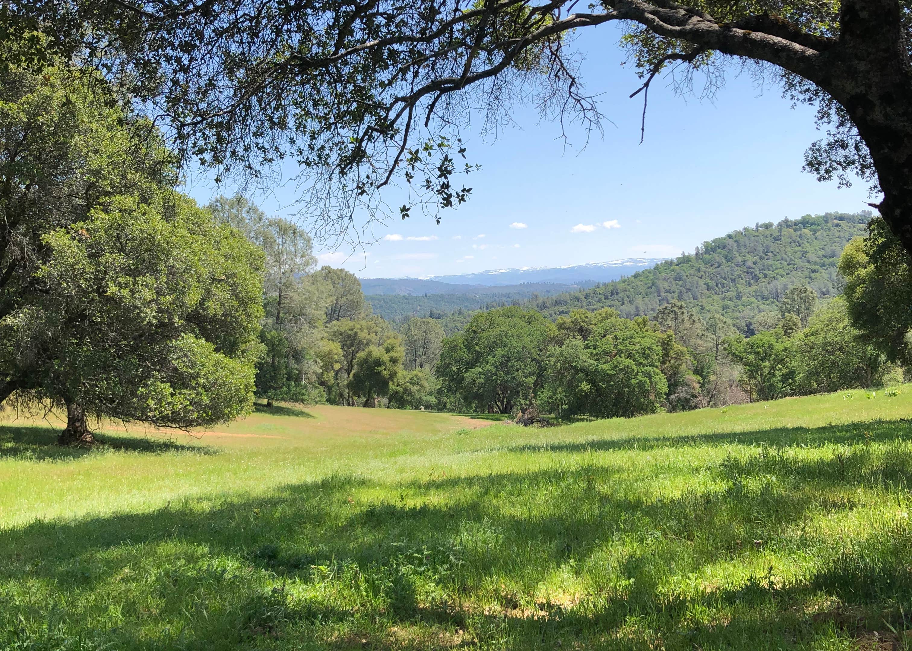 Diamond Gulch Camping | Groveland, CA | The Dyrt