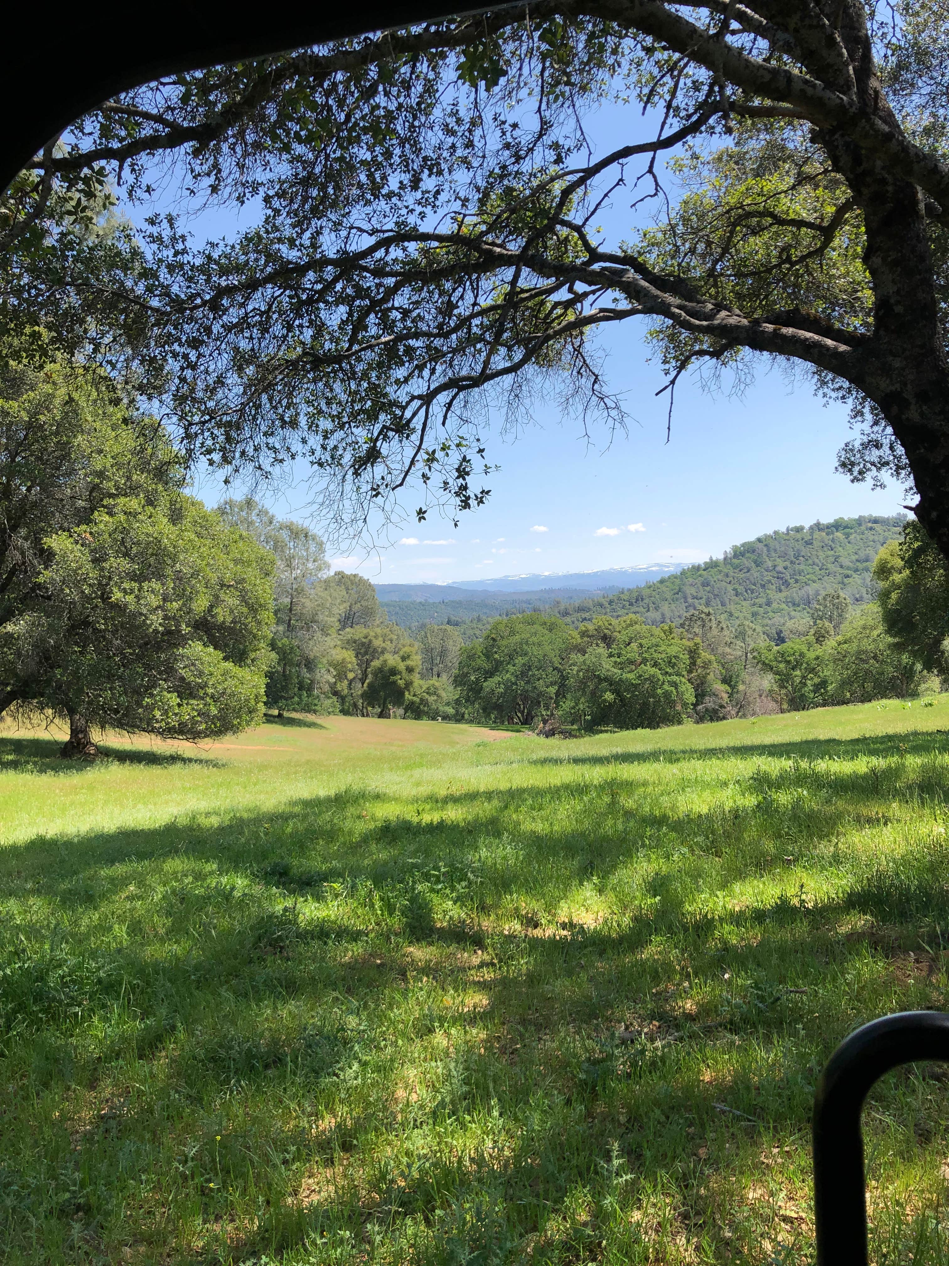 Diamond Gulch Camping | Groveland, CA