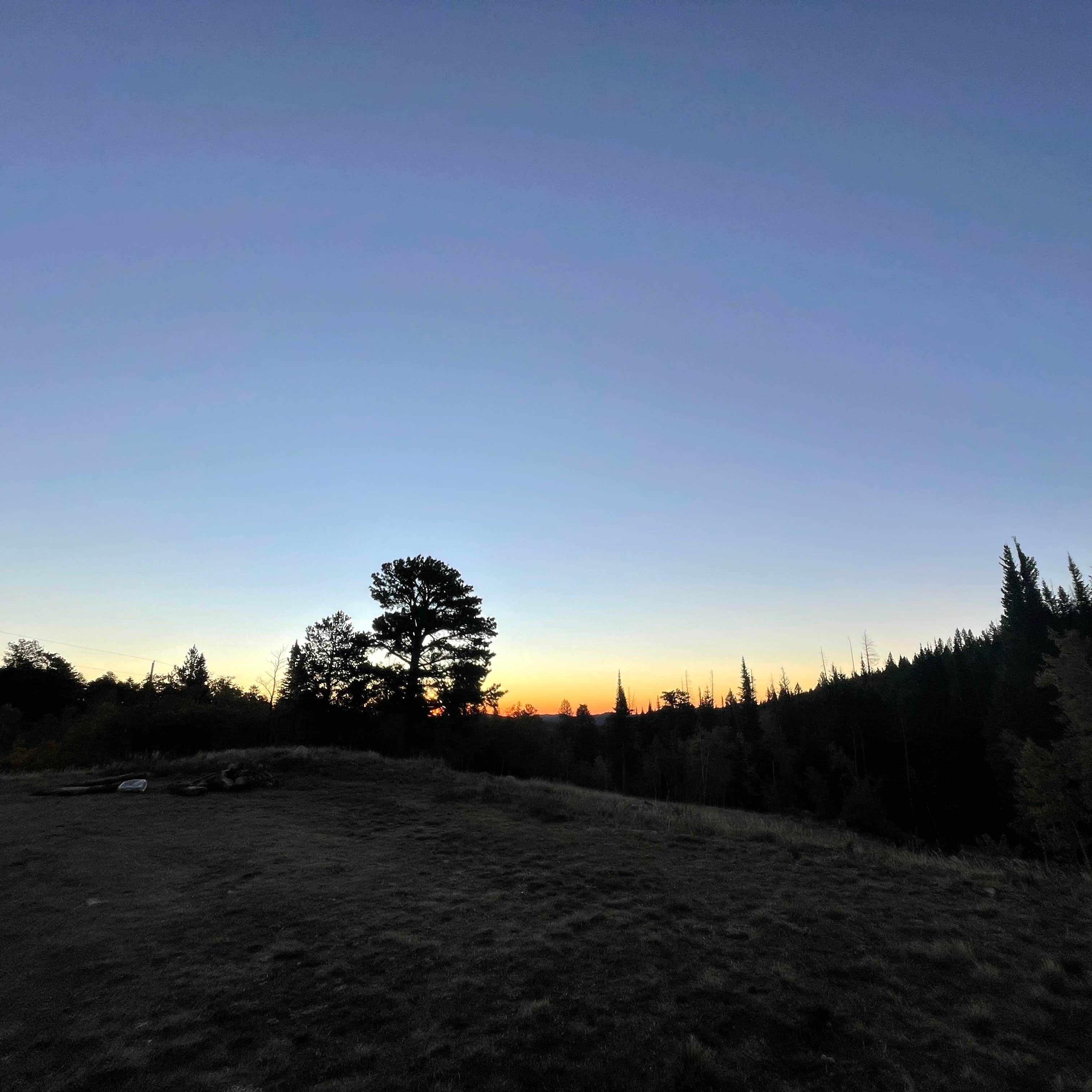 Deadman Road - Dispersed Site Camping | Red Feather Lakes, Colorado