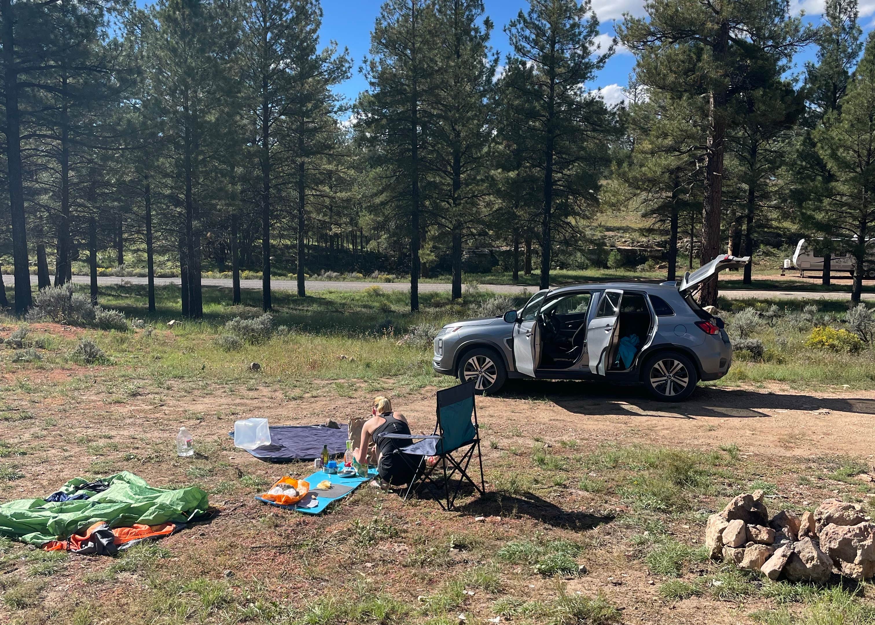 Long Jim Loop Camping | The Dyrt