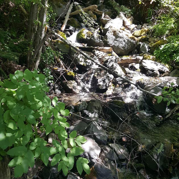 Store Gulch Campground | Selma, Oregon