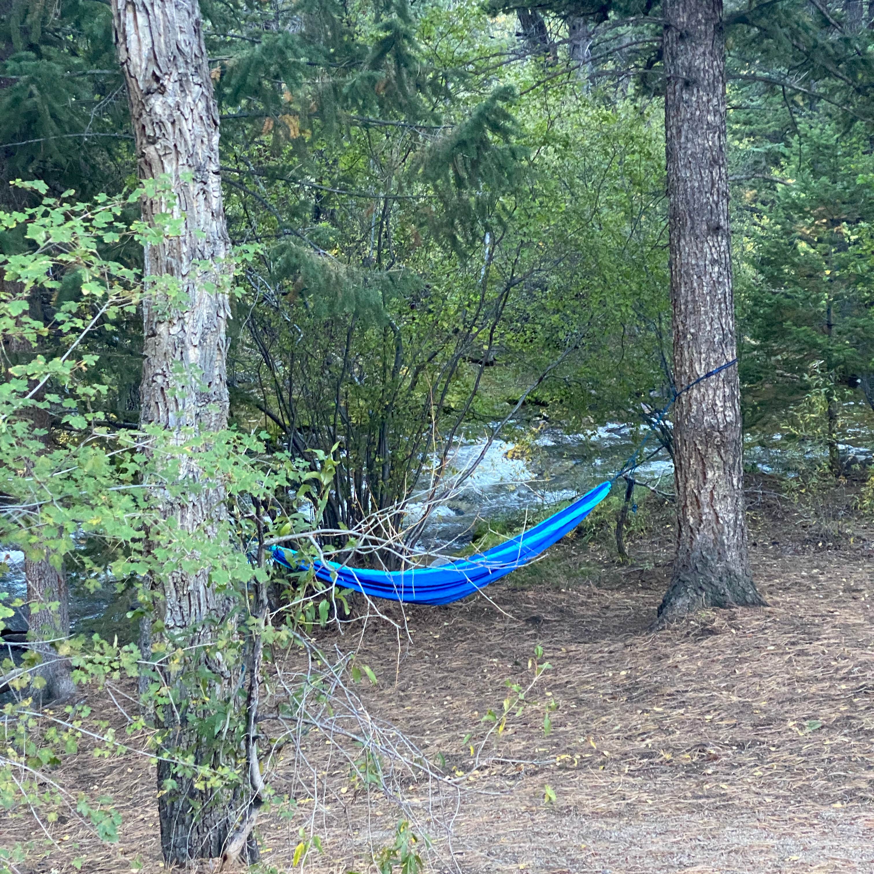San Isabel National Forest Chalk Lake Campground | Nathrop, Colorado