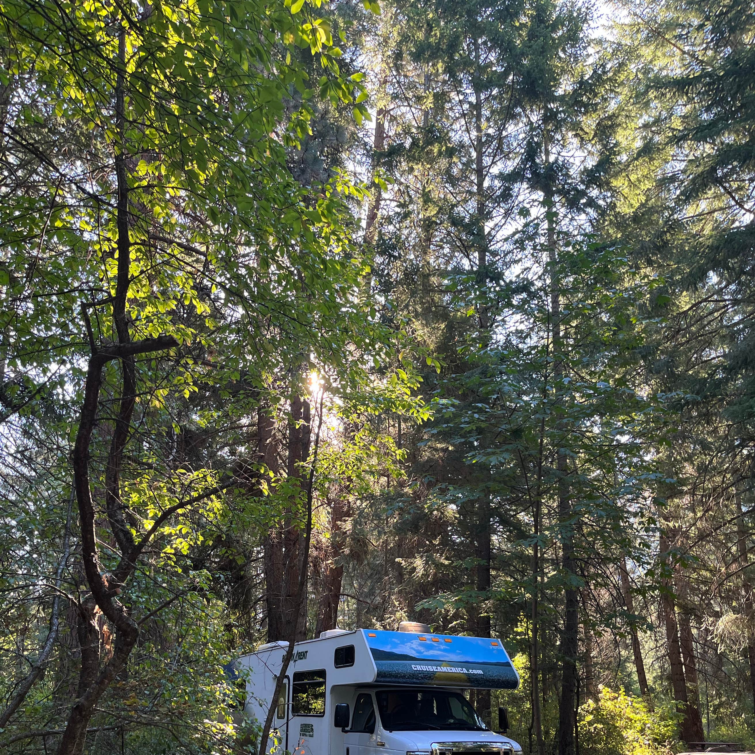 Eightmile Campground | Leavenworth, Washington