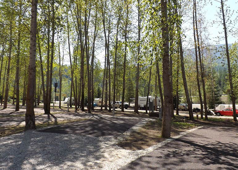 Crystal Gold Mine Camping | The Dyrt